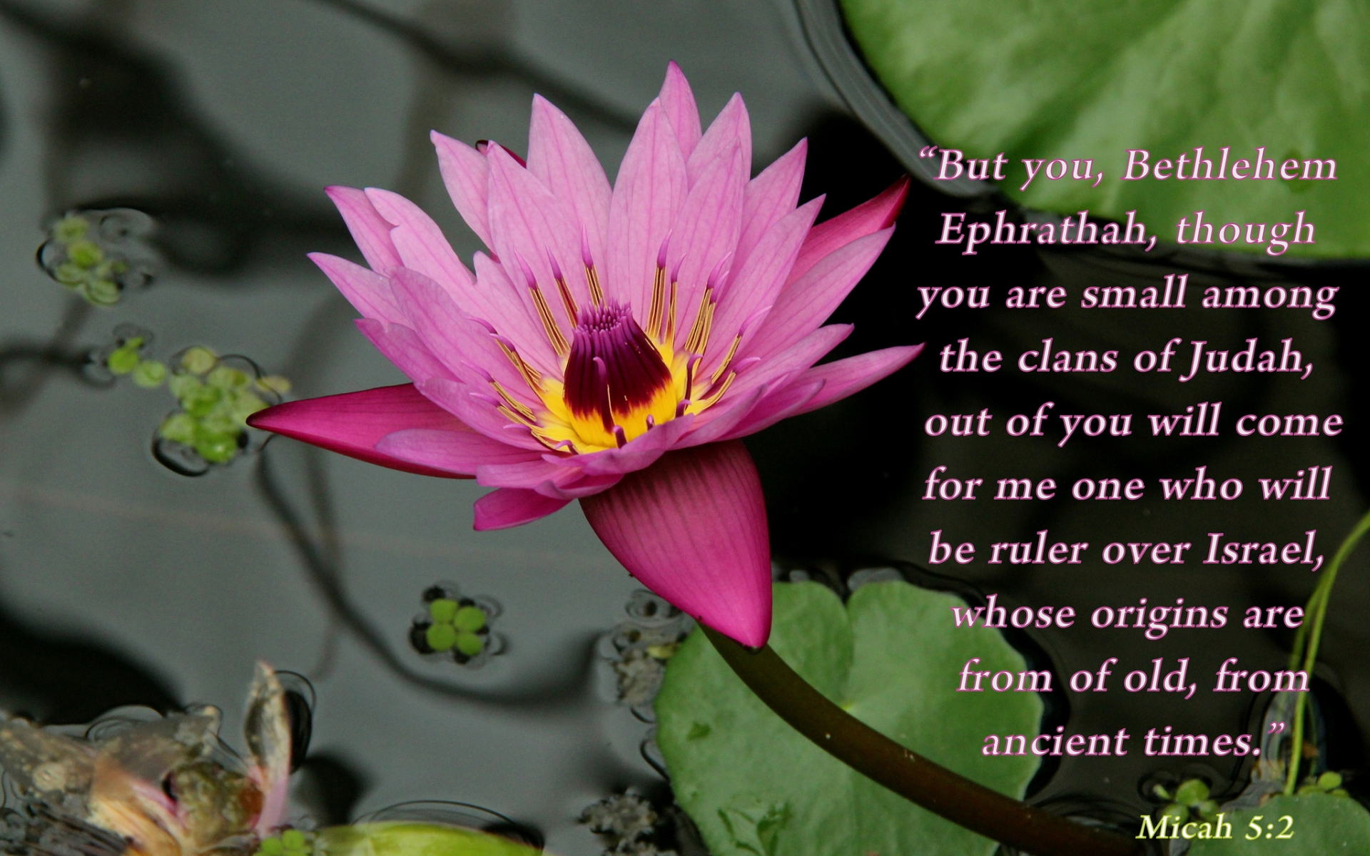 Download Religious Quote HD Wallpaper