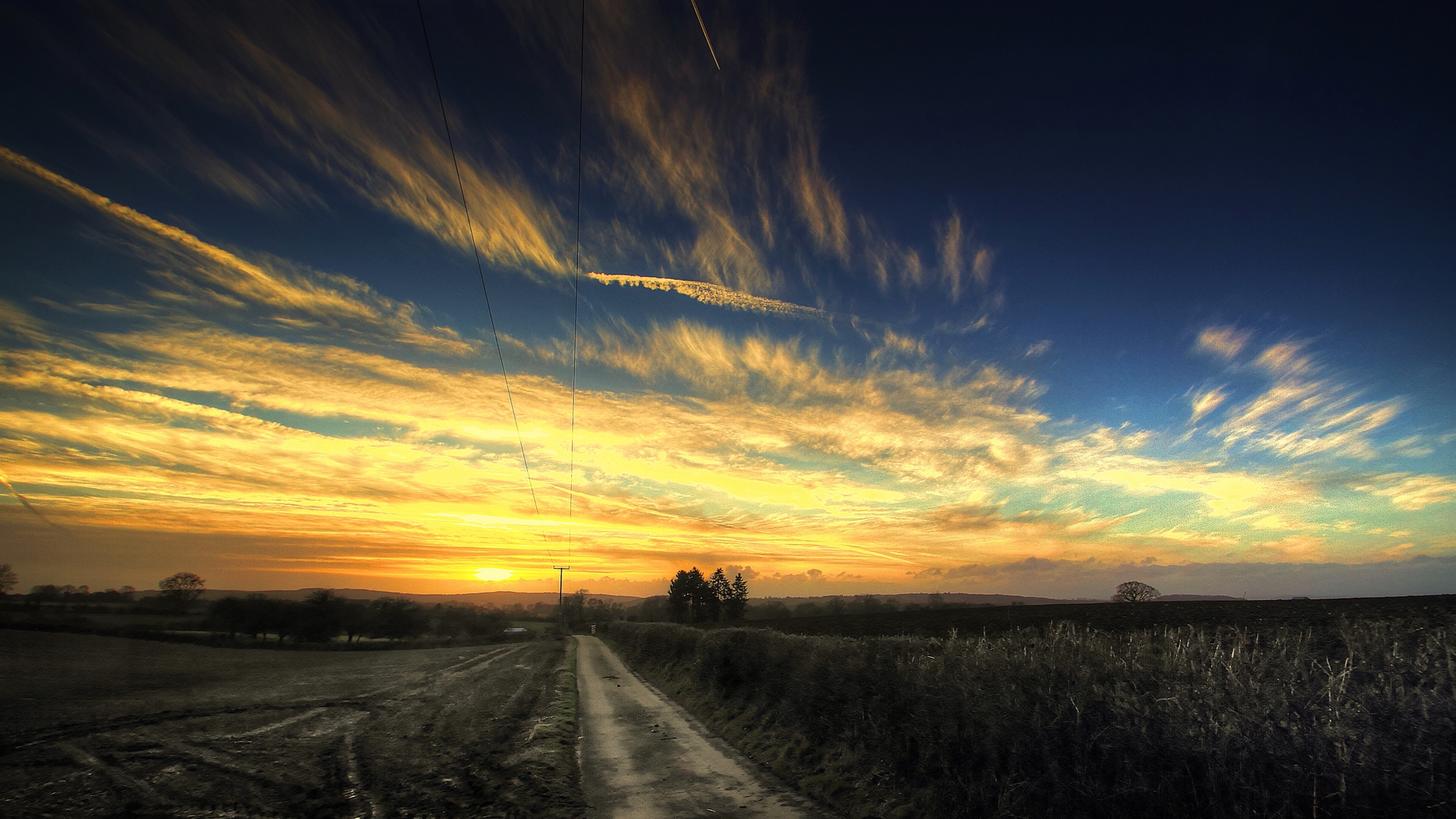 Download Nature Path HD Wallpaper