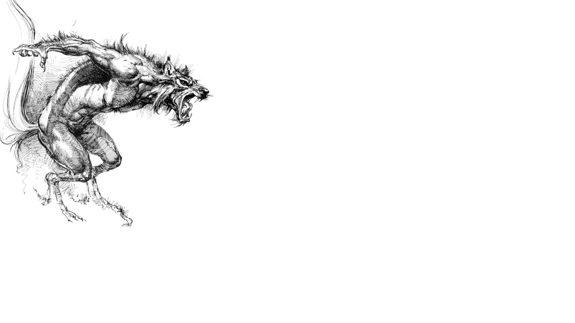 Download Dark Werewolf HD Wallpaper