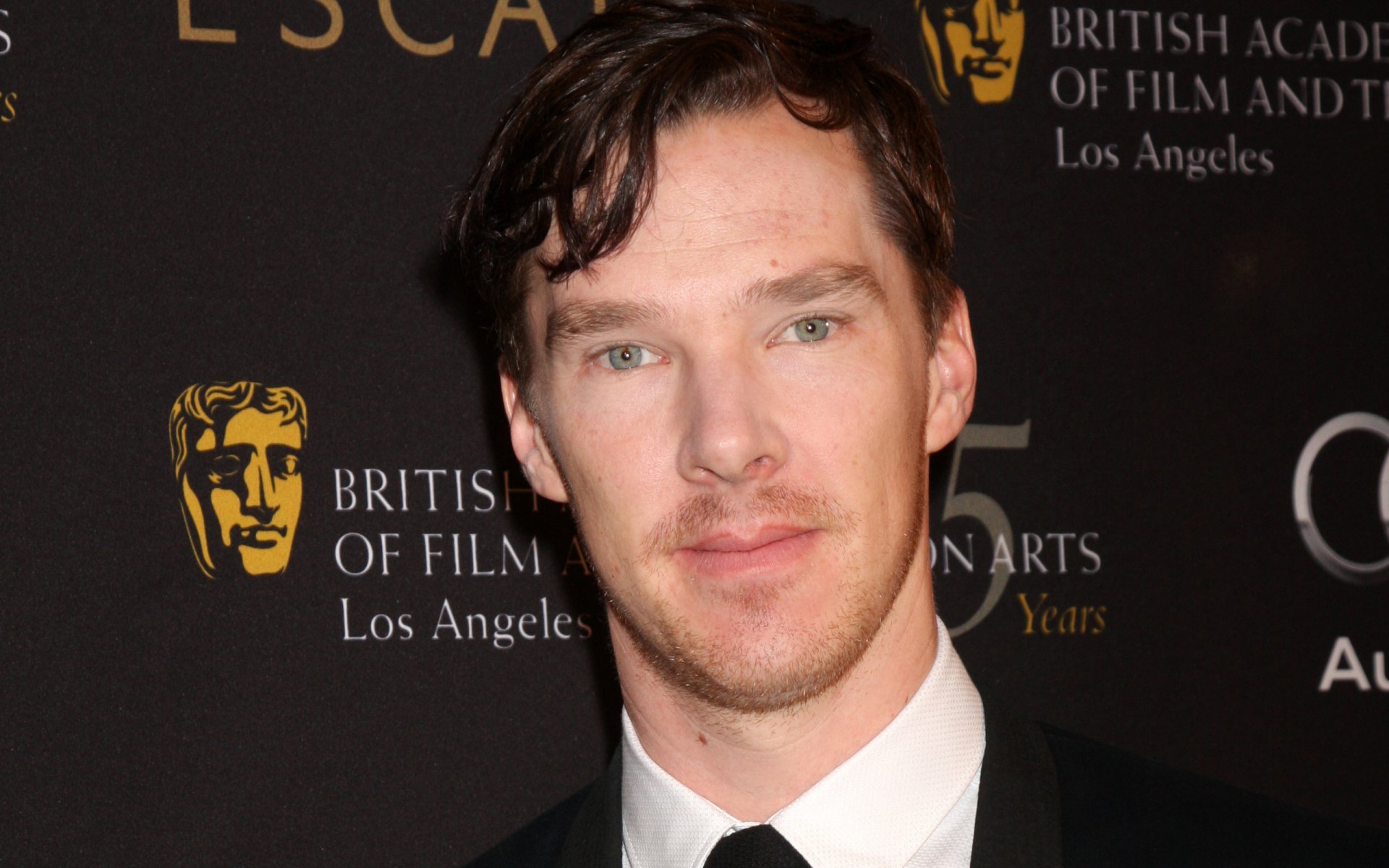 Download English Actor Celebrity Benedict Cumberbatch HD Wallpaper