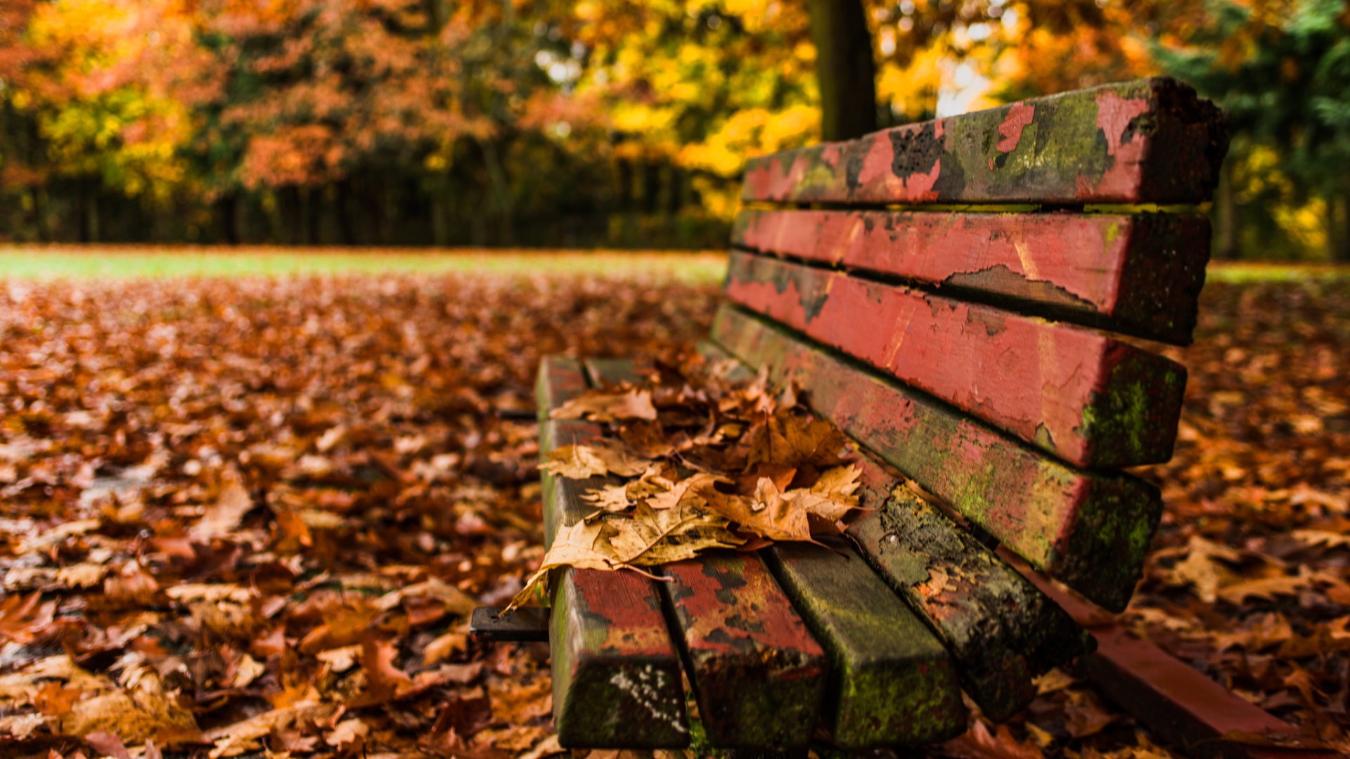 Man Made Bench HD Wallpaper