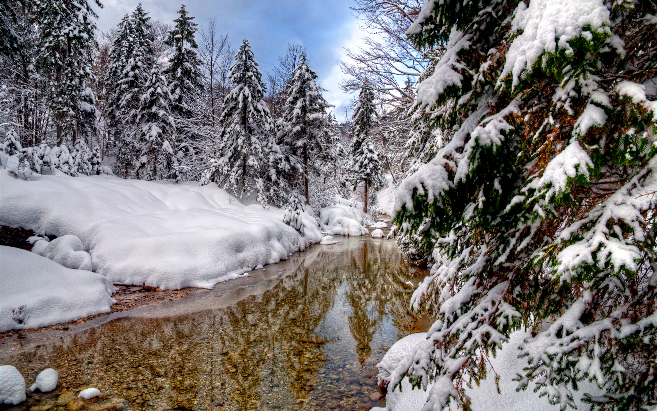 Download Scenery Tree Water Stream Snow Nature Winter HD Wallpaper