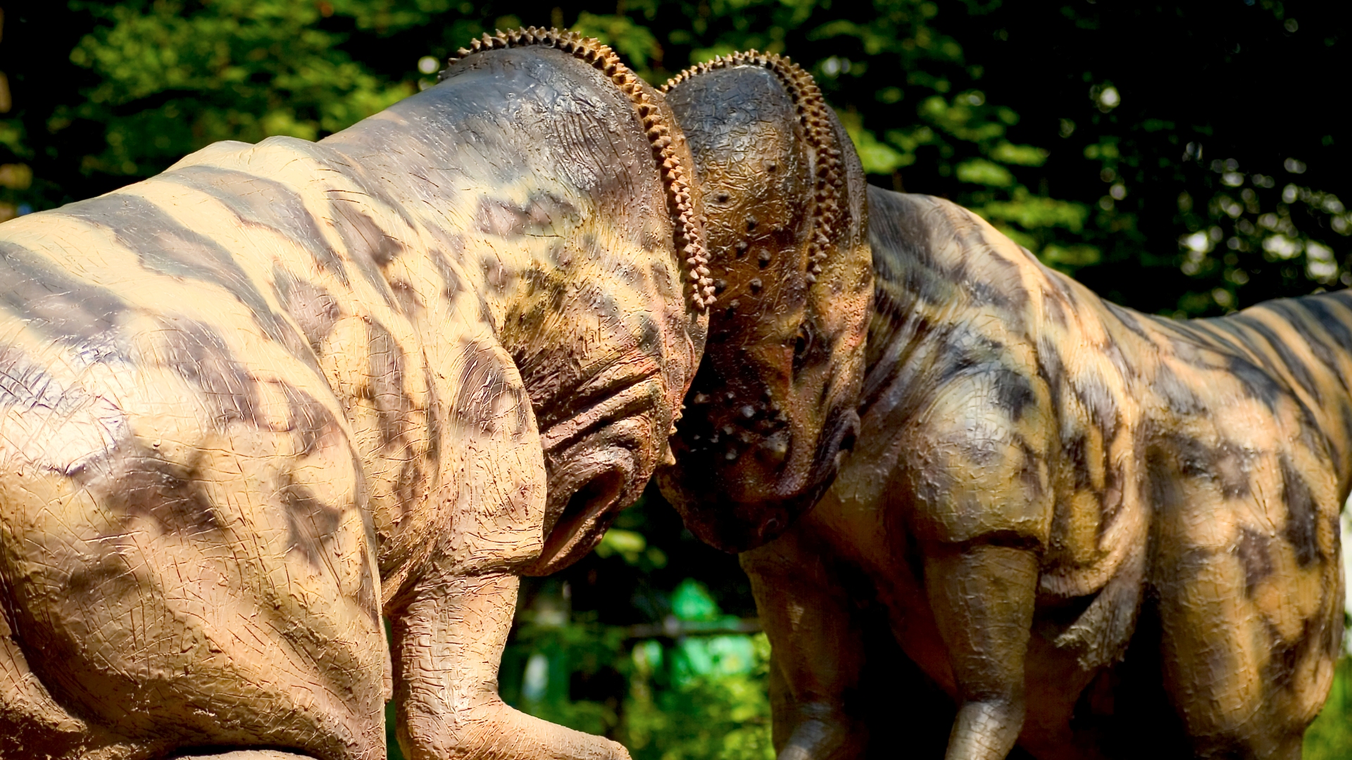 Download Animal Dinosaur HD Wallpaper