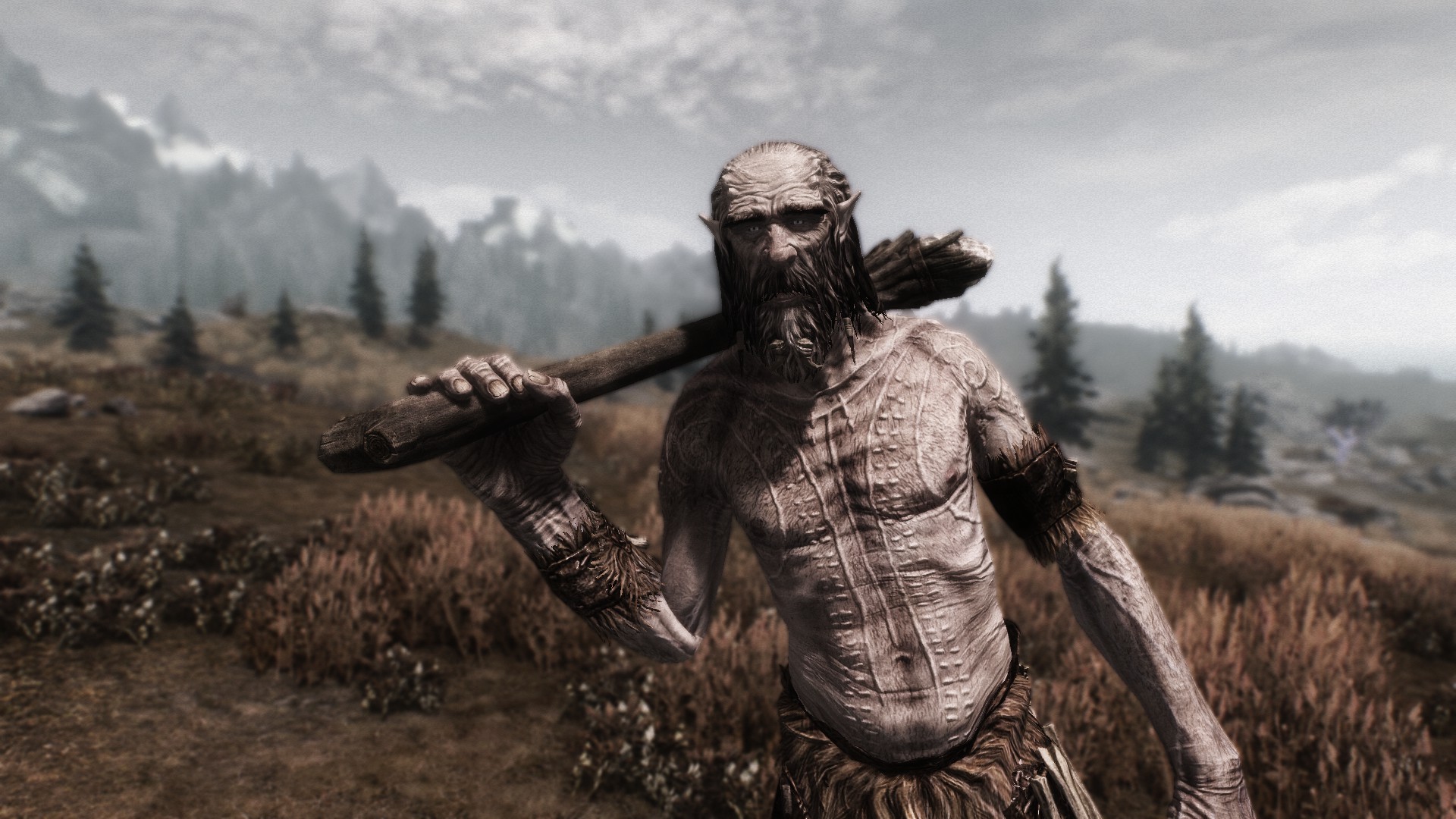 Skyrim HD Wallpaper: Unveiling the Wilderness of Tamriel