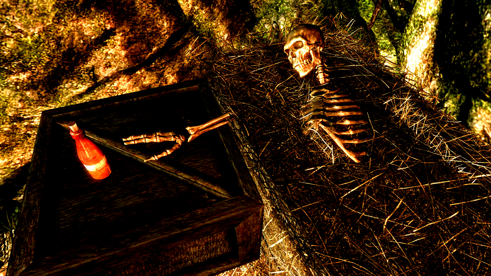 HD Wallpaper: Skeleton Adventure in The Elder Scrolls V: Skyrim by amaya