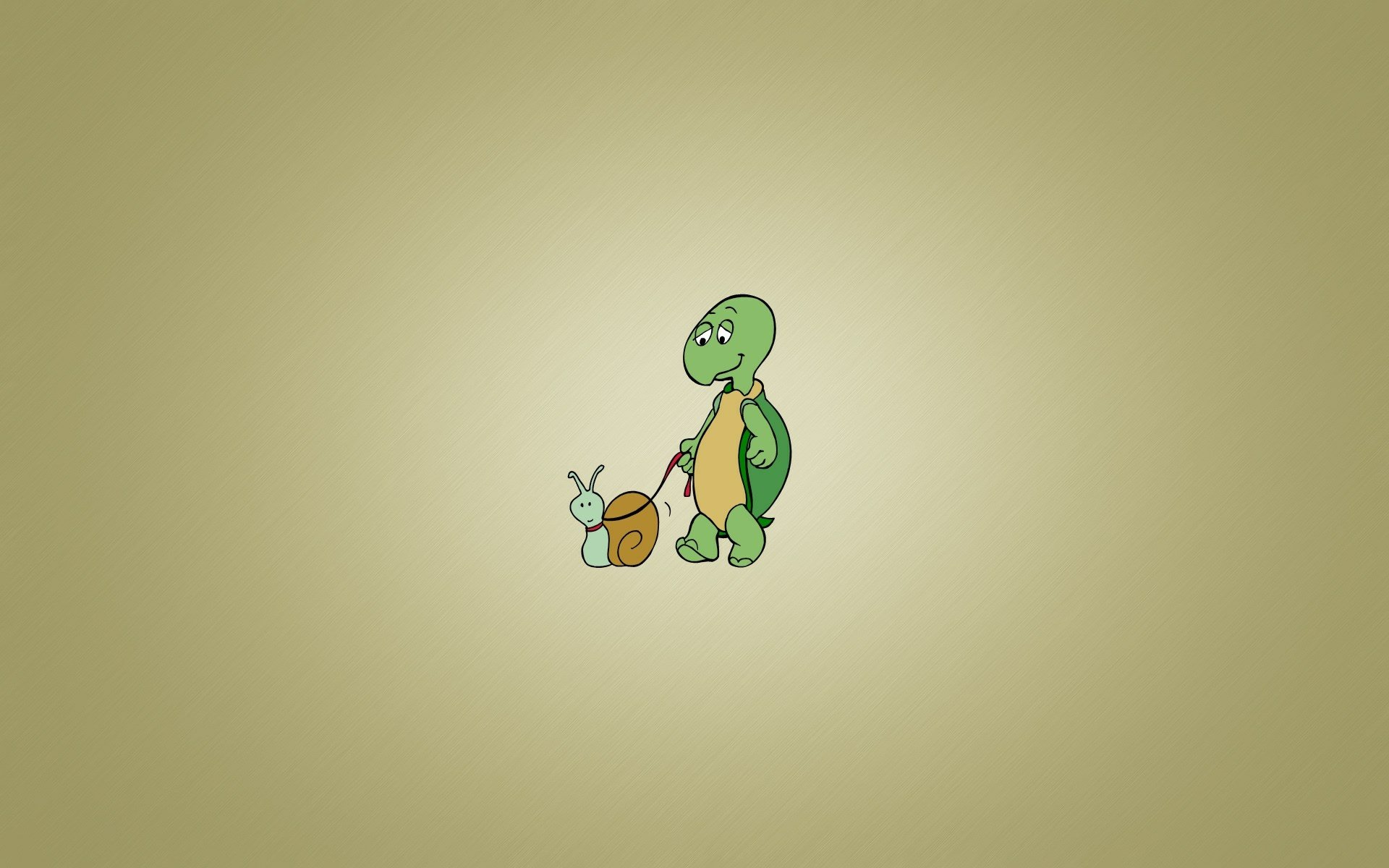 Download Funny Turtle HD Wallpaper