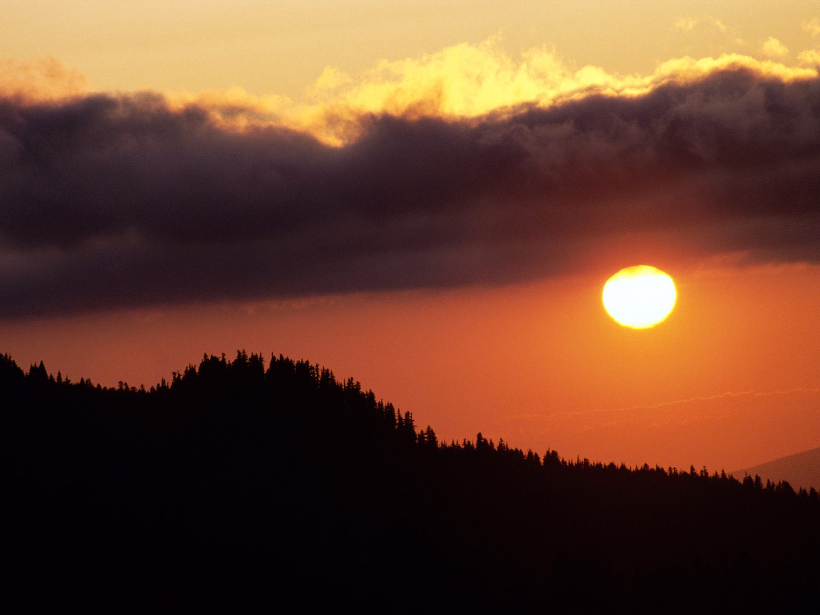 Download Nature Sunset Wallpaper