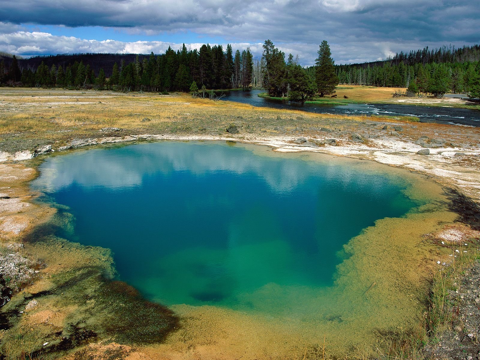 Stunning Yellowstone Nature HD Wallpaper