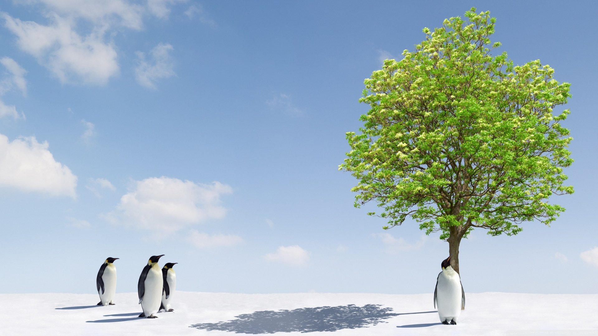 HD Wallpaper of Penguins Under a Vibrant Tree