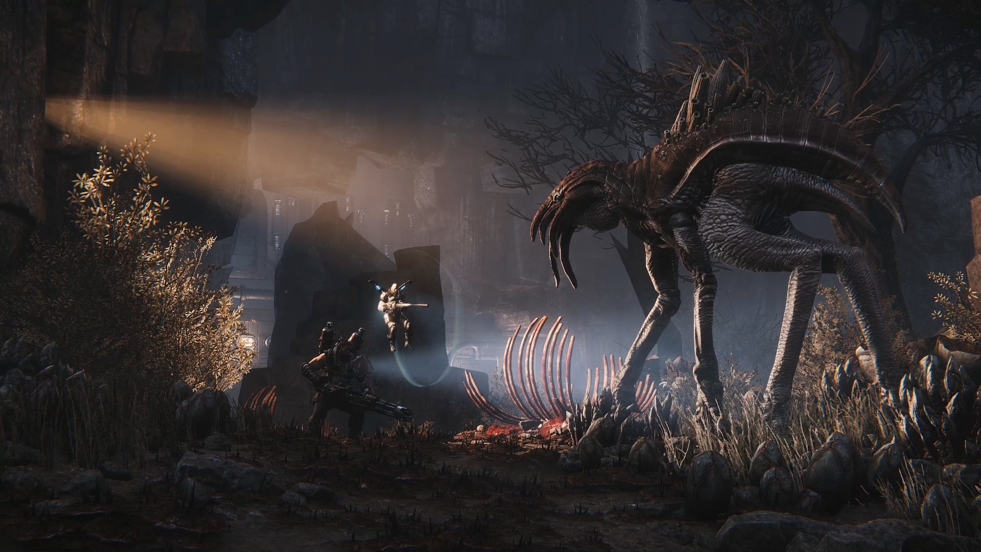 Download Evolve (Video Game) Video Game Evolve HD Wallpaper