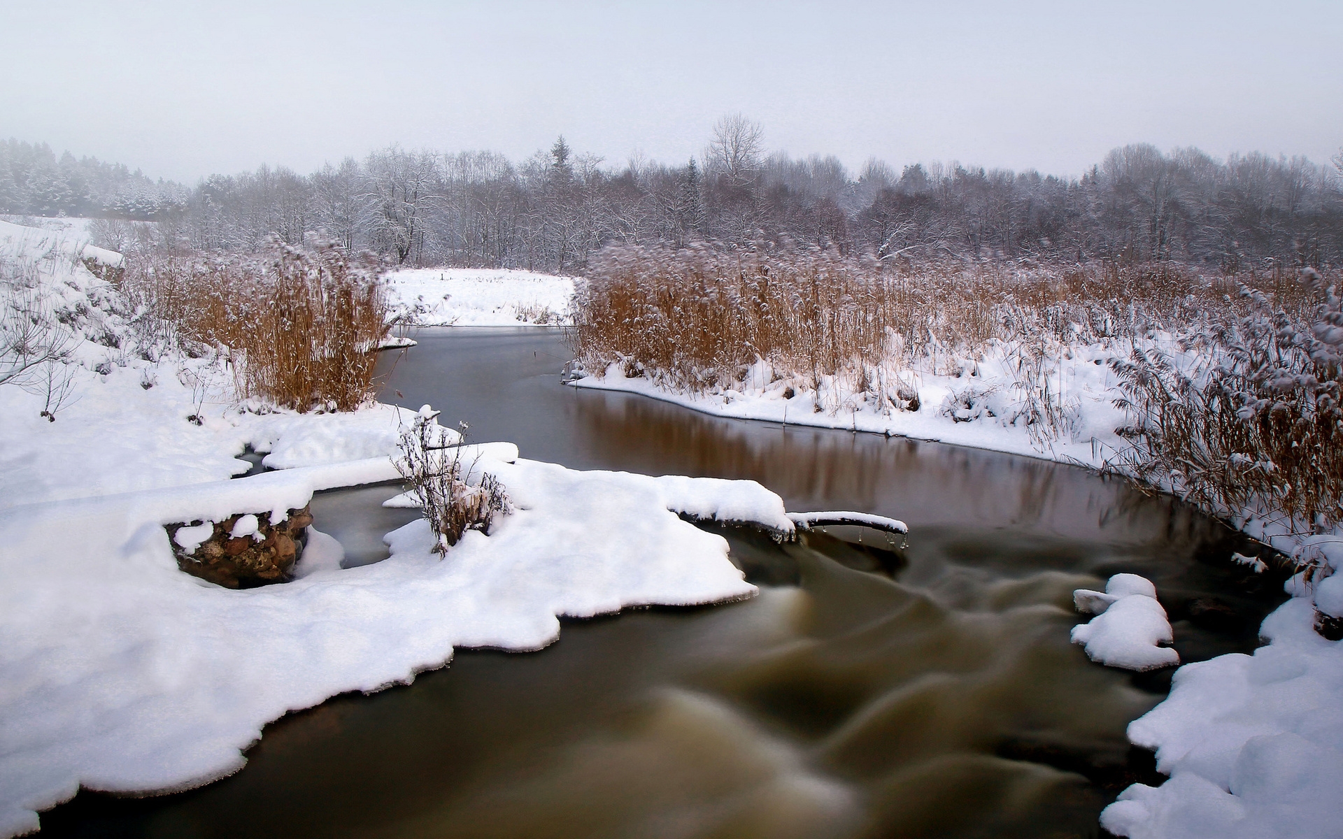 Download Nature River HD Wallpaper