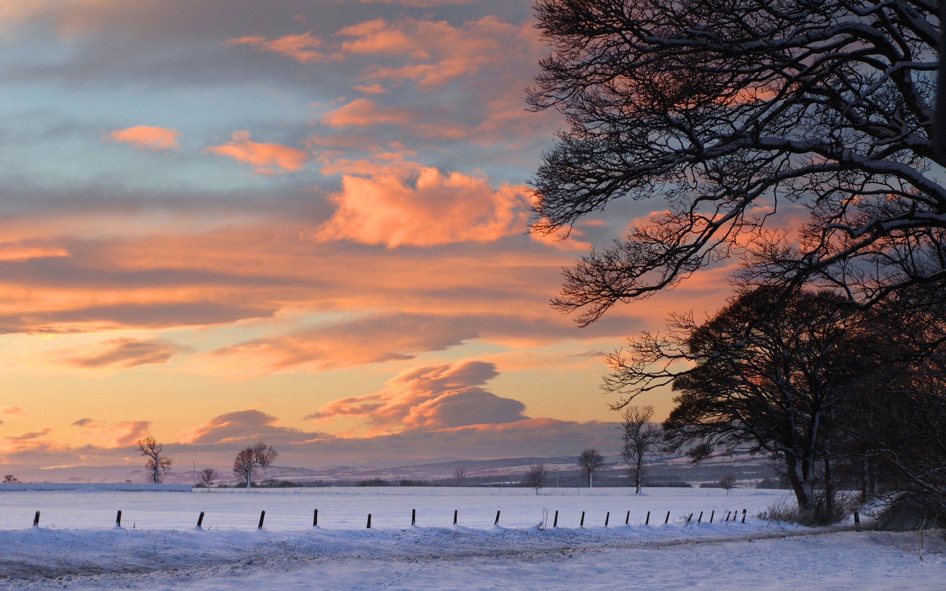 Download Nature Winter HD Wallpaper | 1920x1200 | Wallpaper Abyss