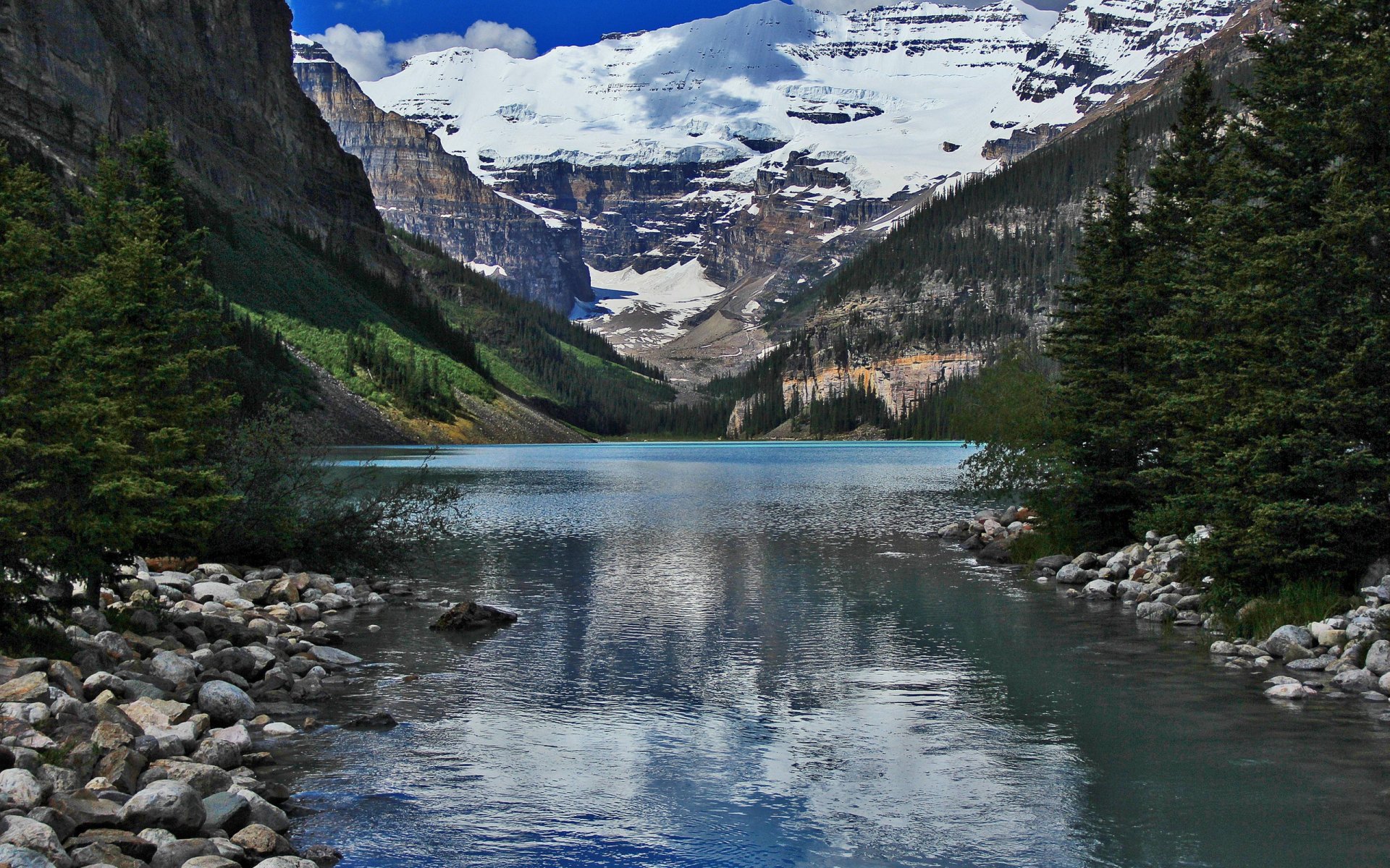 Download Nature River HD Wallpaper | 2560x1600 | Wallpaper Abyss