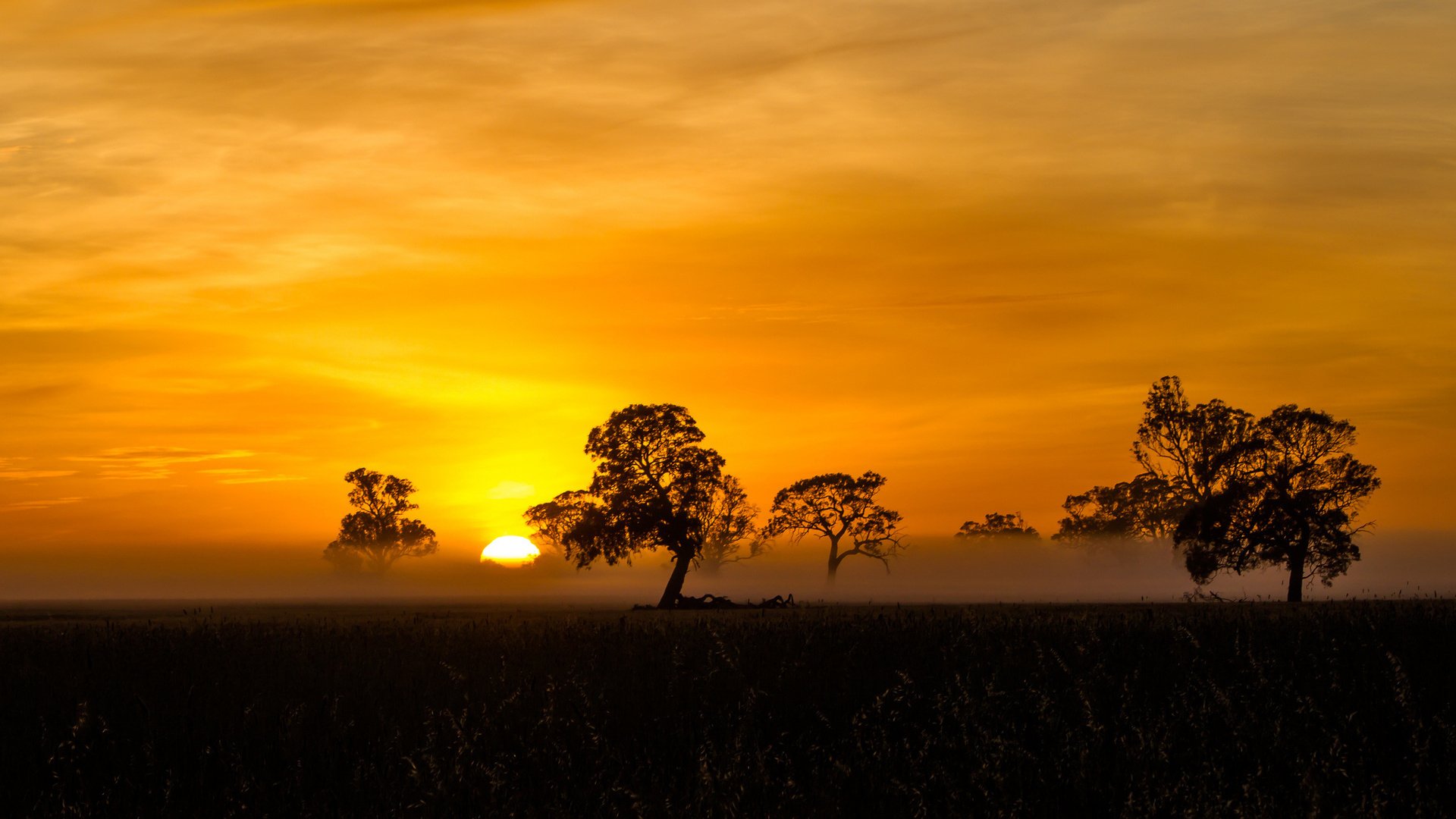 Download Nature Sunset HD Wallpaper | 1920x1080 | Wallpaper Abyss