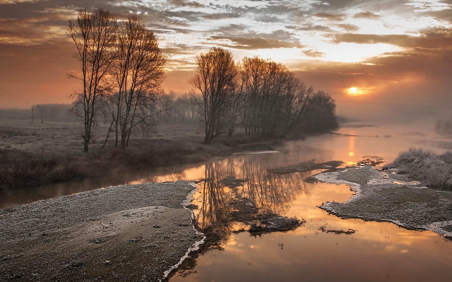 Download Nature Fog HD Wallpaper