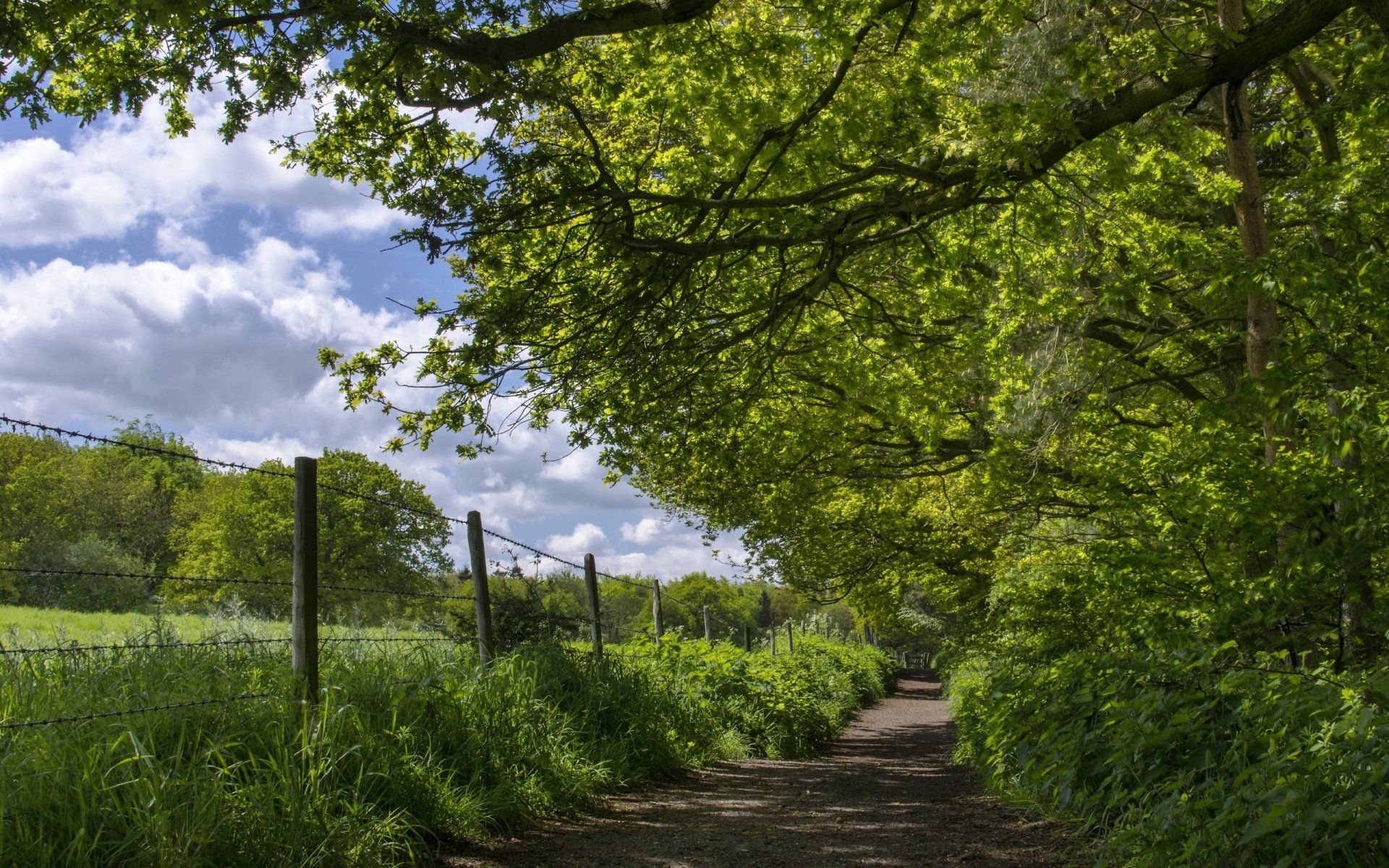 Download Man Made Path HD Wallpaper