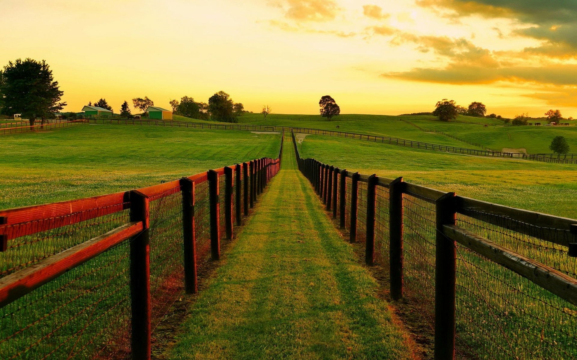 Download Fence Photography Landscape HD Wallpaper
