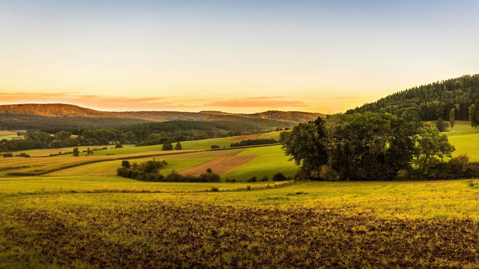 4K Ultra HD Wallpaper — Serene Field & Forest Landscape