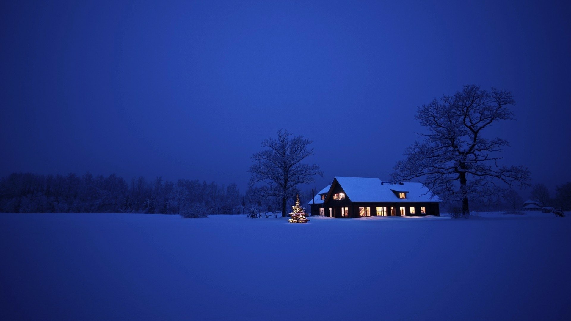 Serene Winter Night: HD Wallpaper of Snowy Bliss