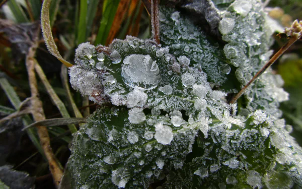 [150+] Ice 4k Wallpapers