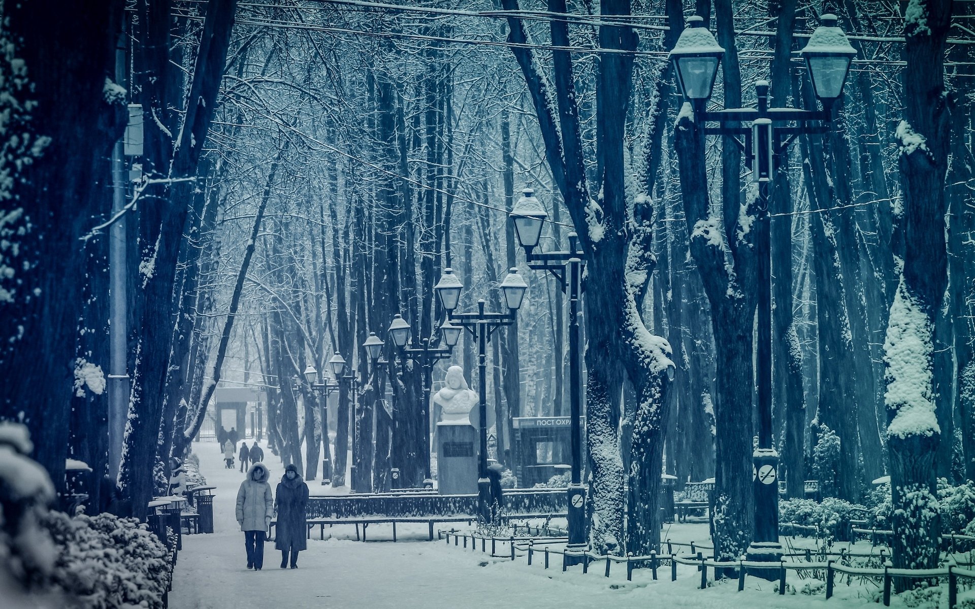 Winter Stroll: Serene Park Path HD Wallpaper