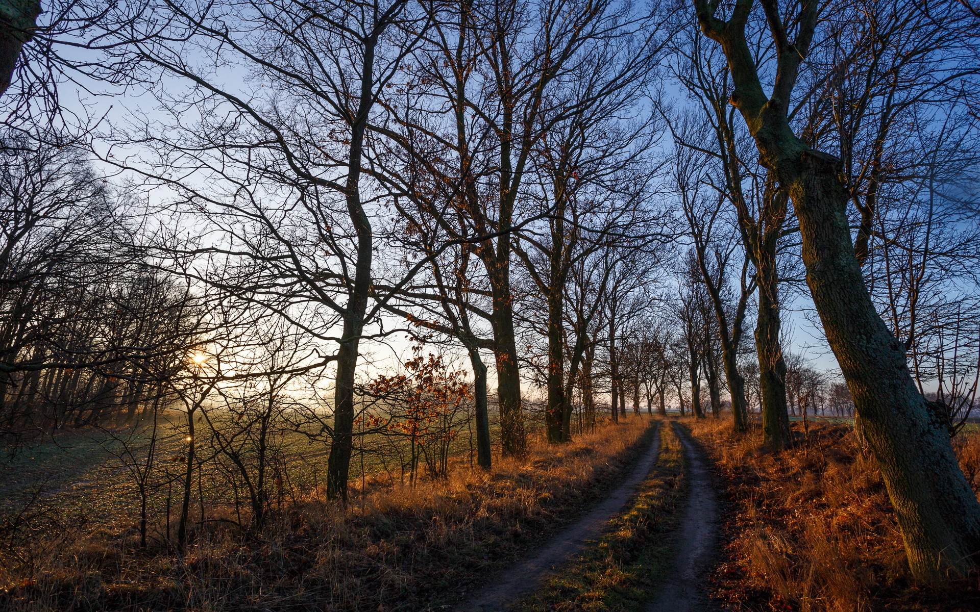 Download Nature Path HD Wallpaper