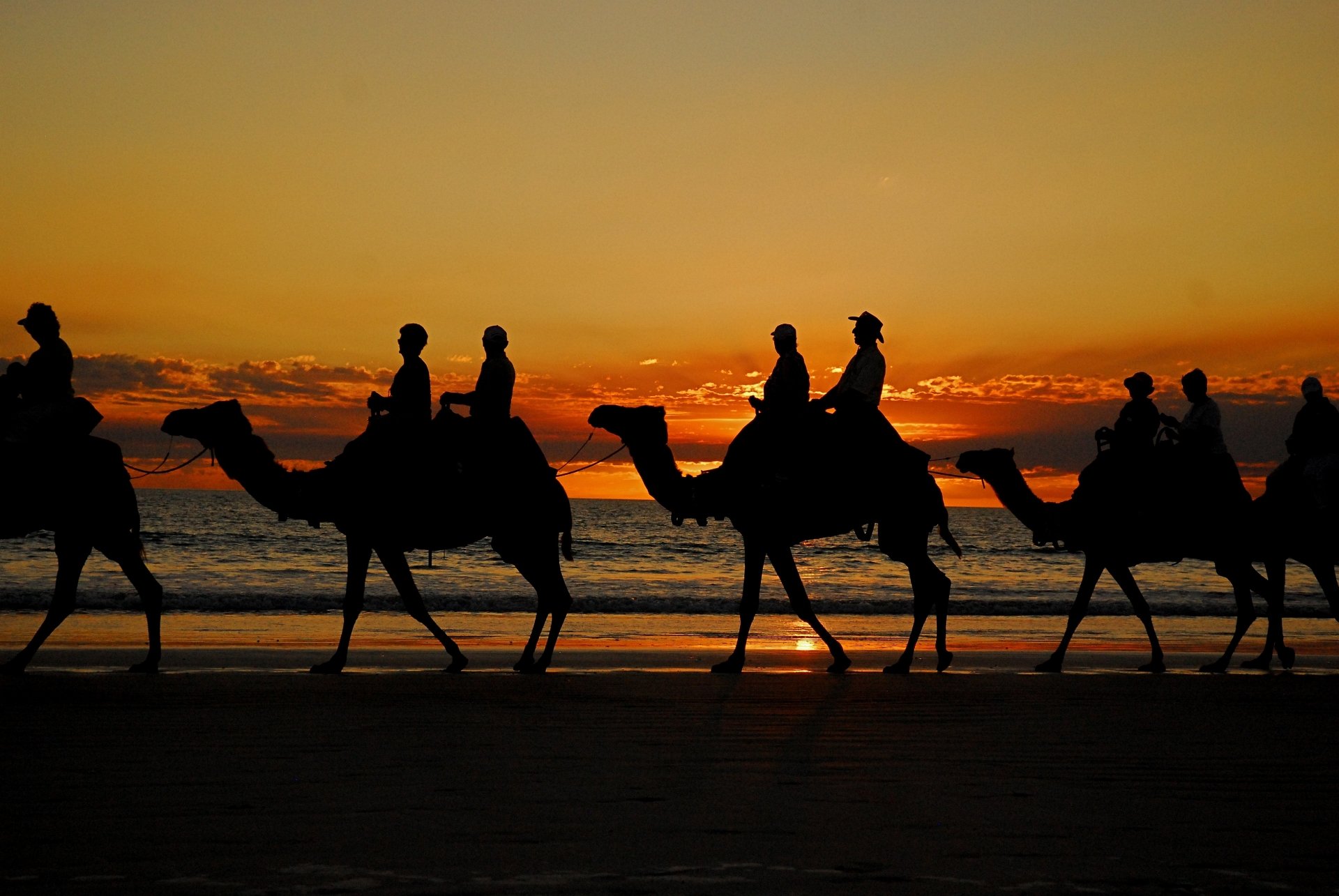 4K Ultra HD Silhouettes: People Riding Camels at Sunset Photography