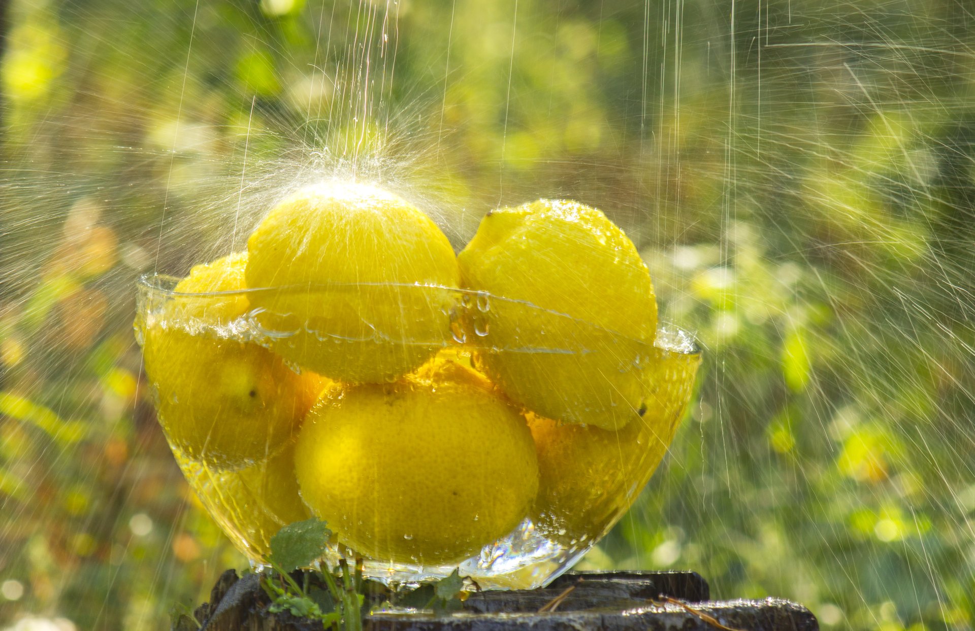 Zesty Lemon Splash – 4K Ultra HD Food Wallpaper