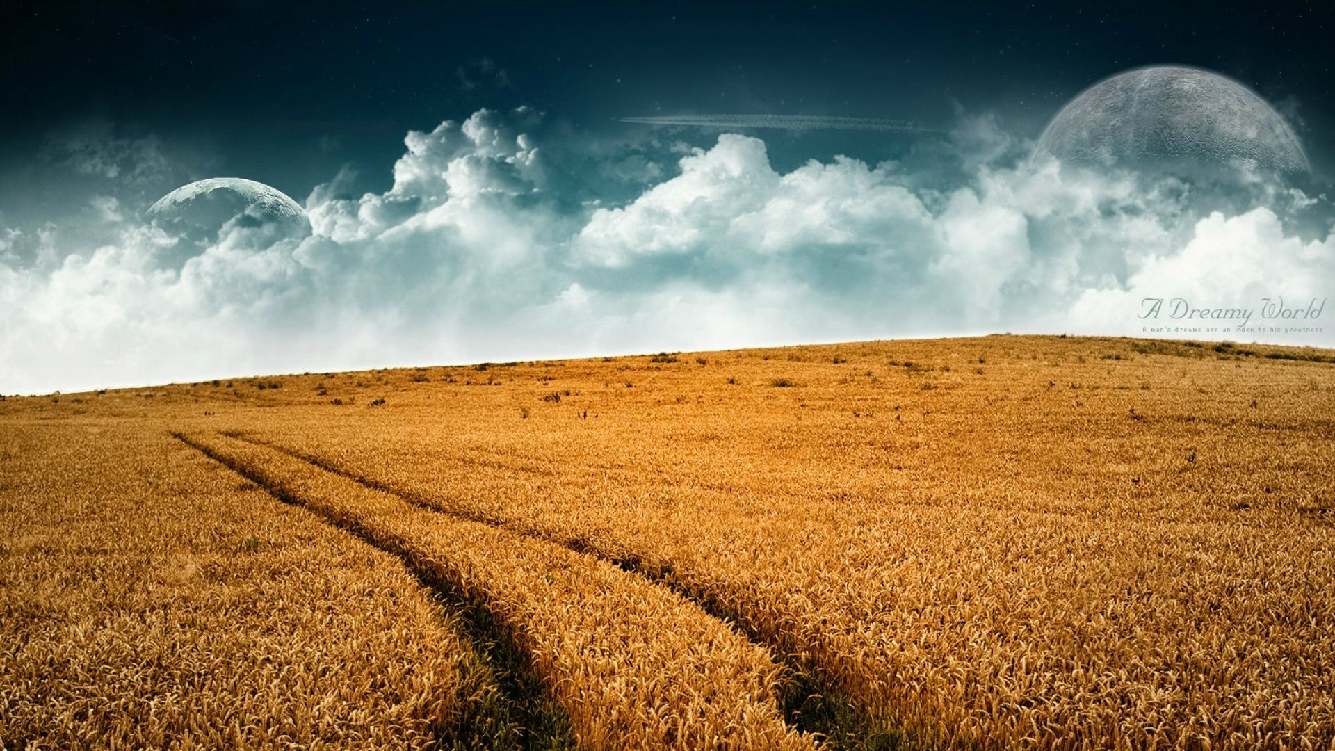 Download Nature Field HD Wallpaper