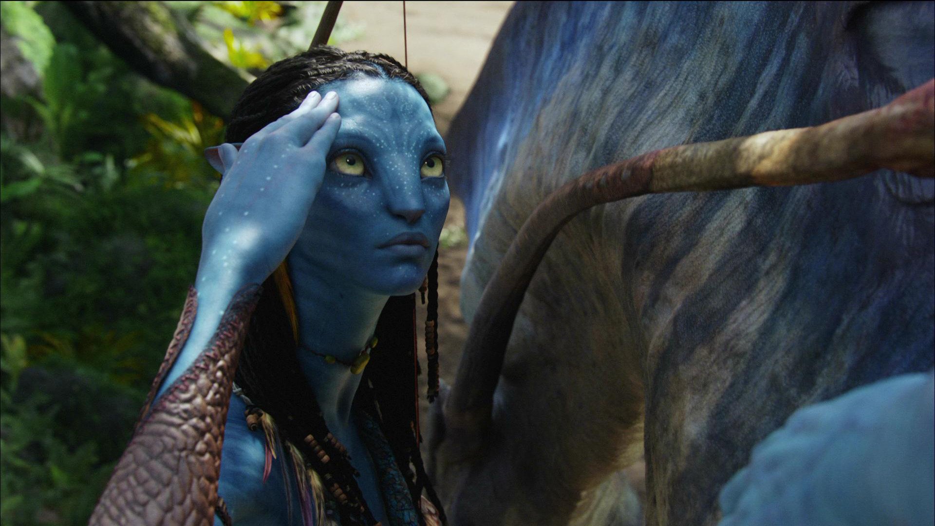 Download Movie Avatar HD Wallpaper