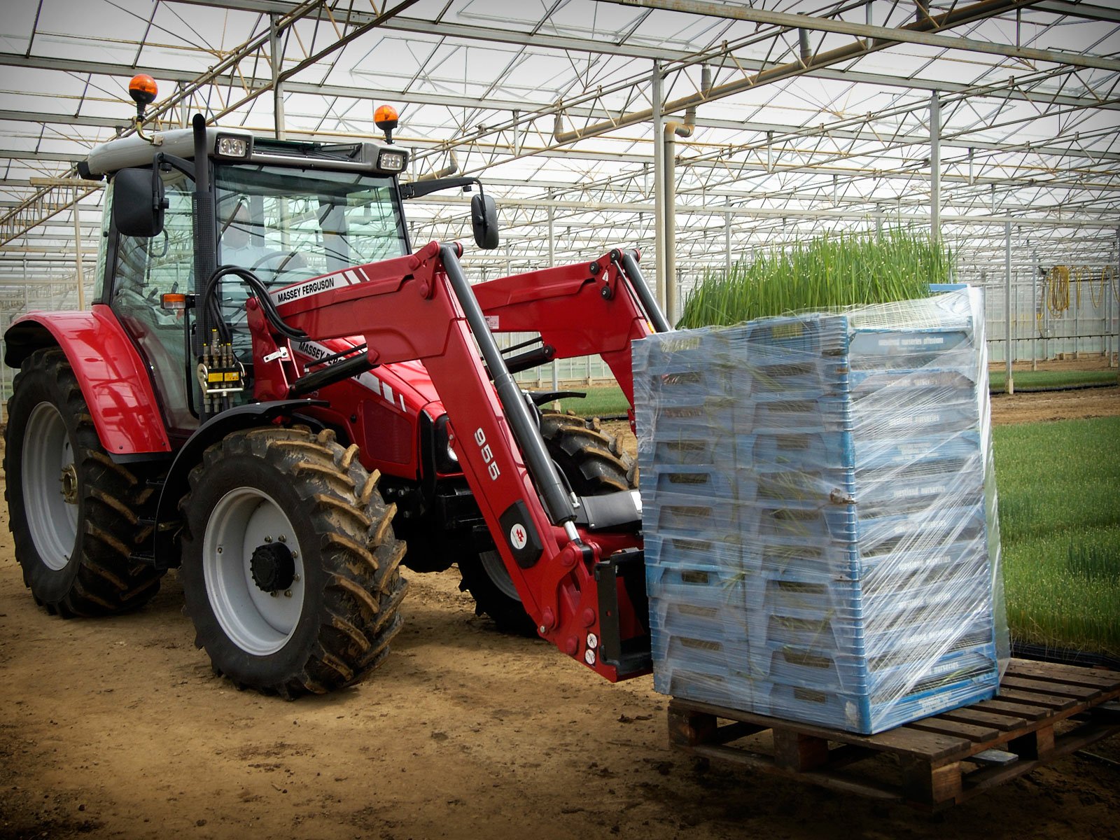 Massey Ferguson - Desktop Wallpapers, Phone Wallpaper, PFP, Gifs, and More!