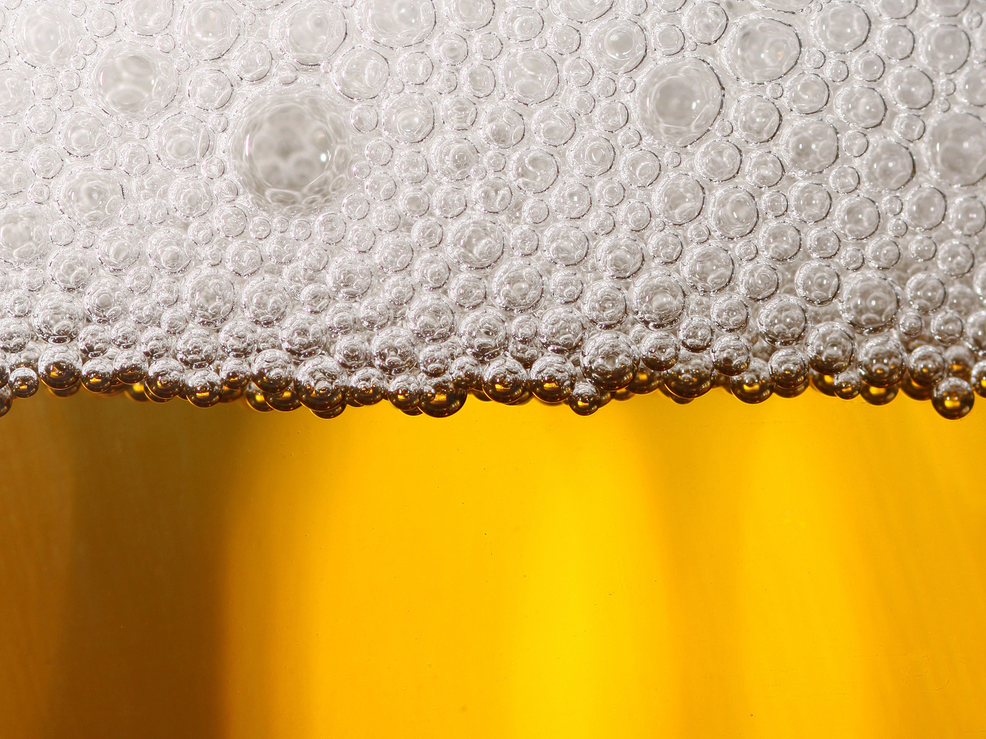 Download Beer Photography Close-up HD Wallpaper