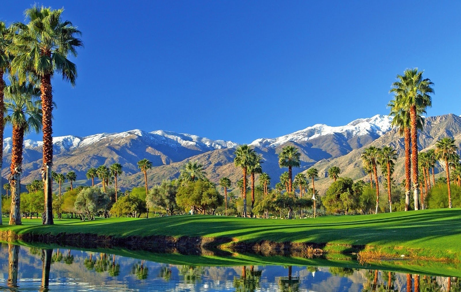 1 Palm Springs HD Wallpapers Background Images Wallpaper Abyss