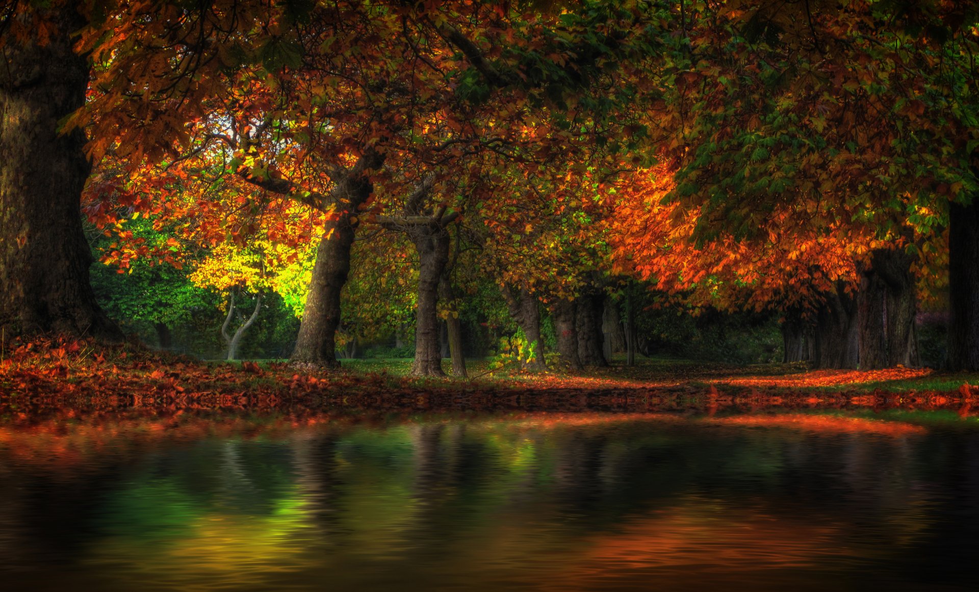 Download Landscape Nature Tree Fall HD Wallpaper | 3634x2200 ...