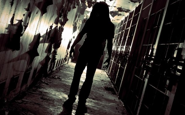 Seventy Nine Wallpapers