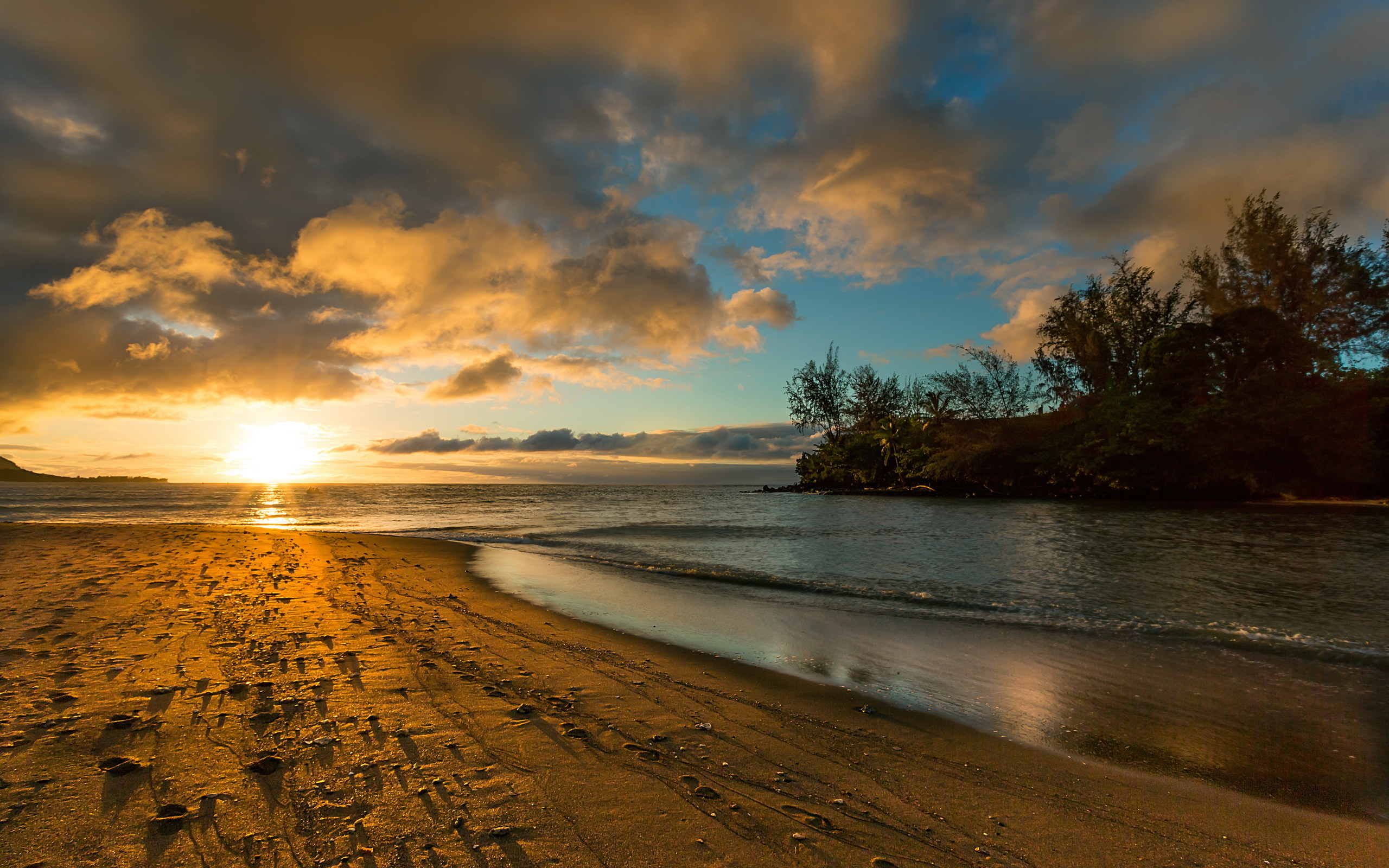 Download Nature Beach HD Wallpaper