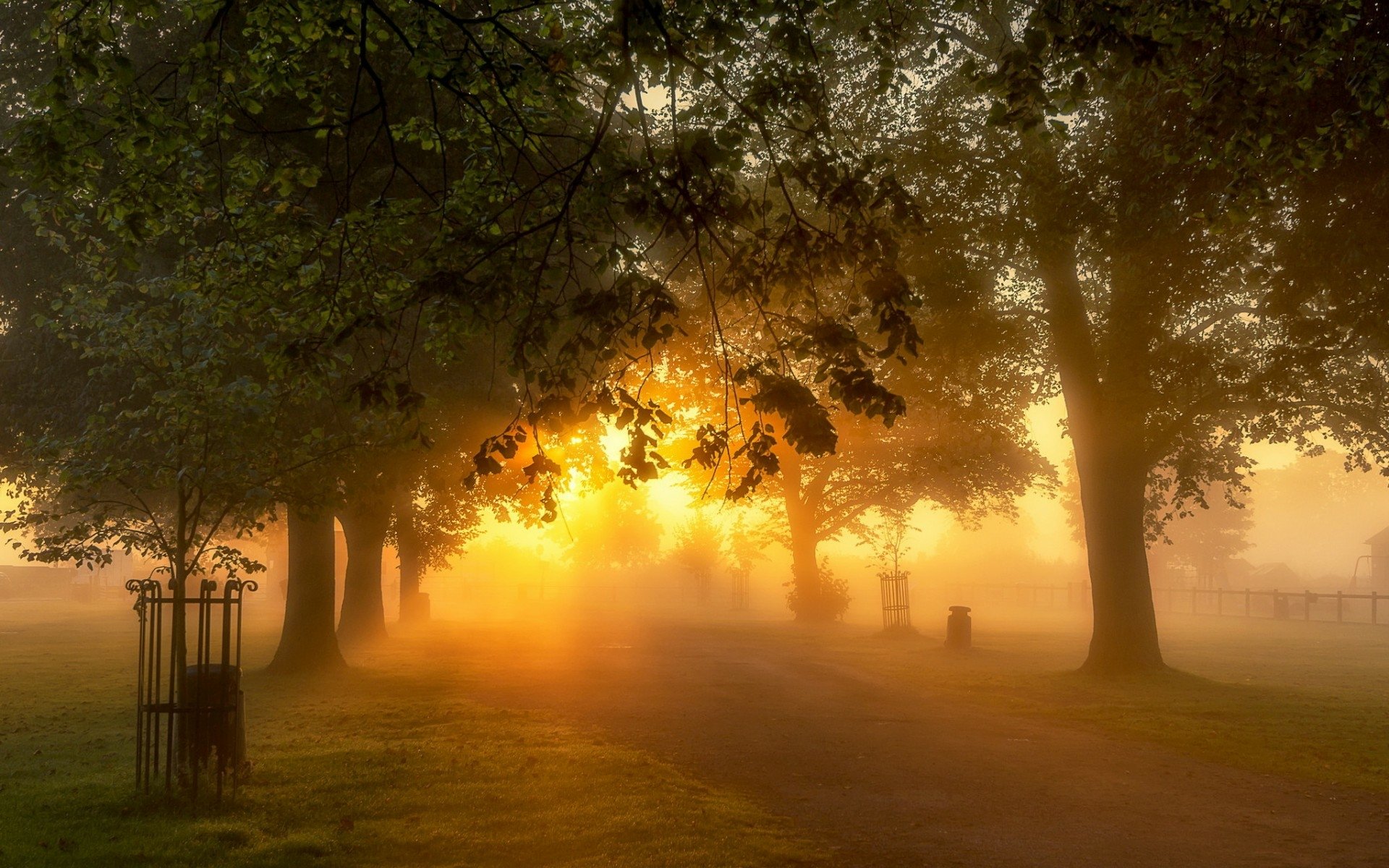 Radiant Morning Light in Serene Park – HD Nature Photography Wallpaper
