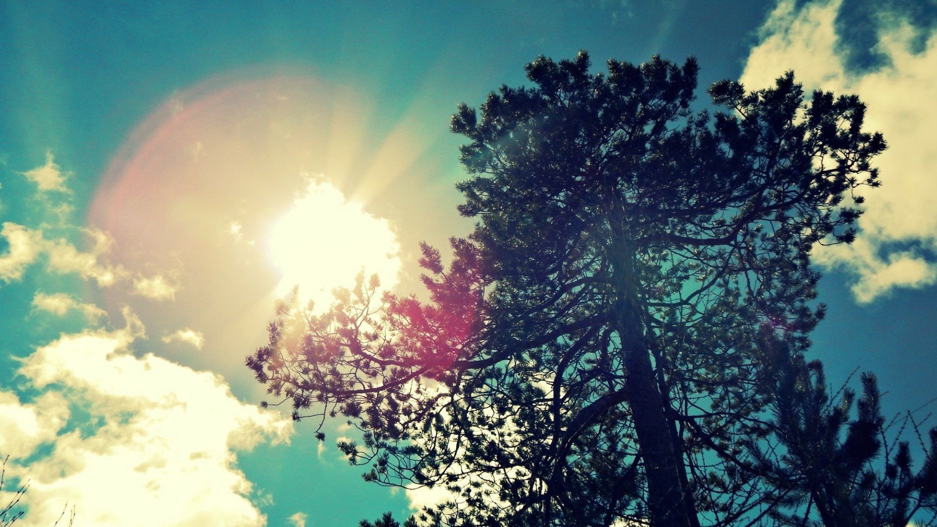 Download Nature Sunbeam HD Wallpaper | 1920x1080 | Wallpaper Abyss
