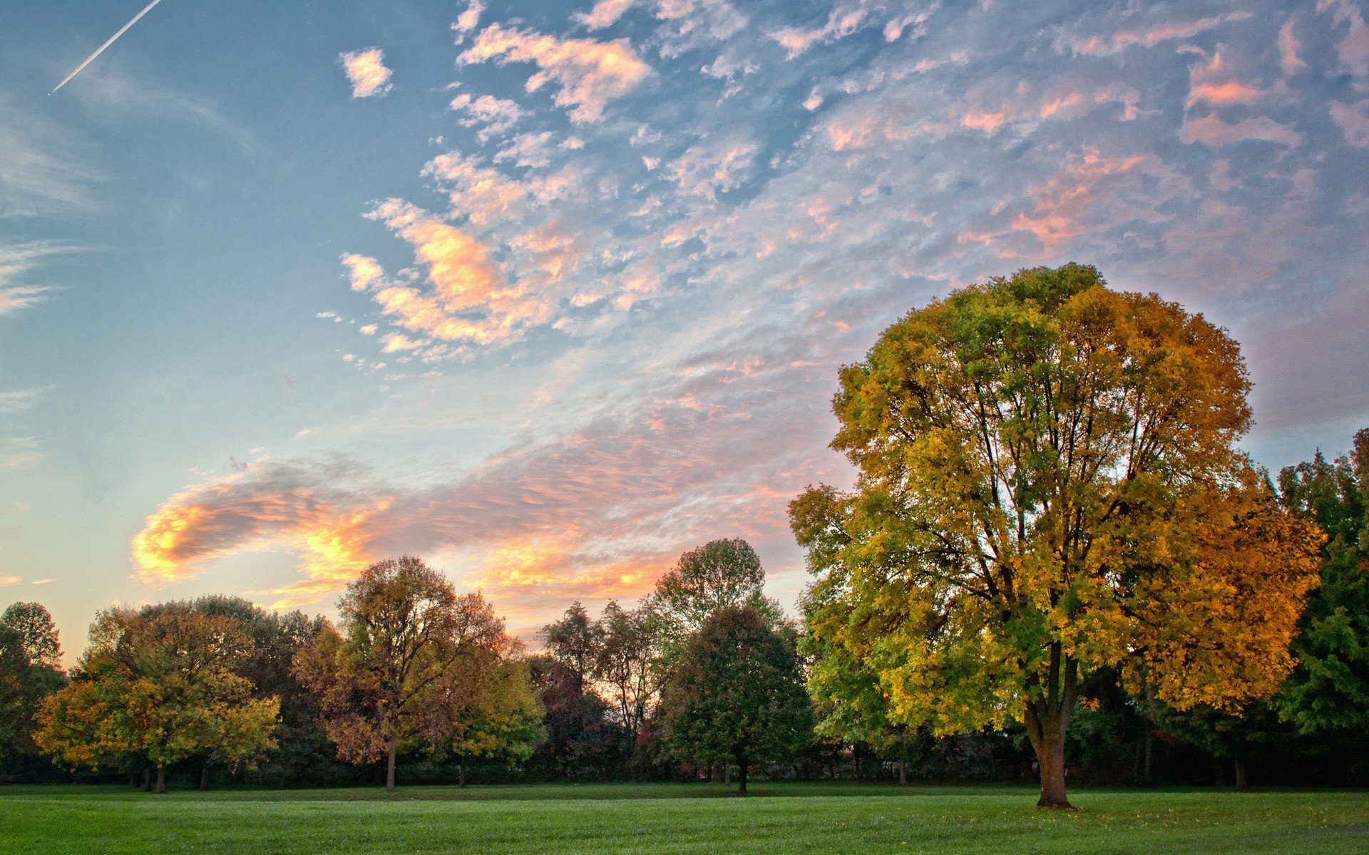 Download Photography Park HD Wallpaper | 1920x1200 | Wallpaper Abyss