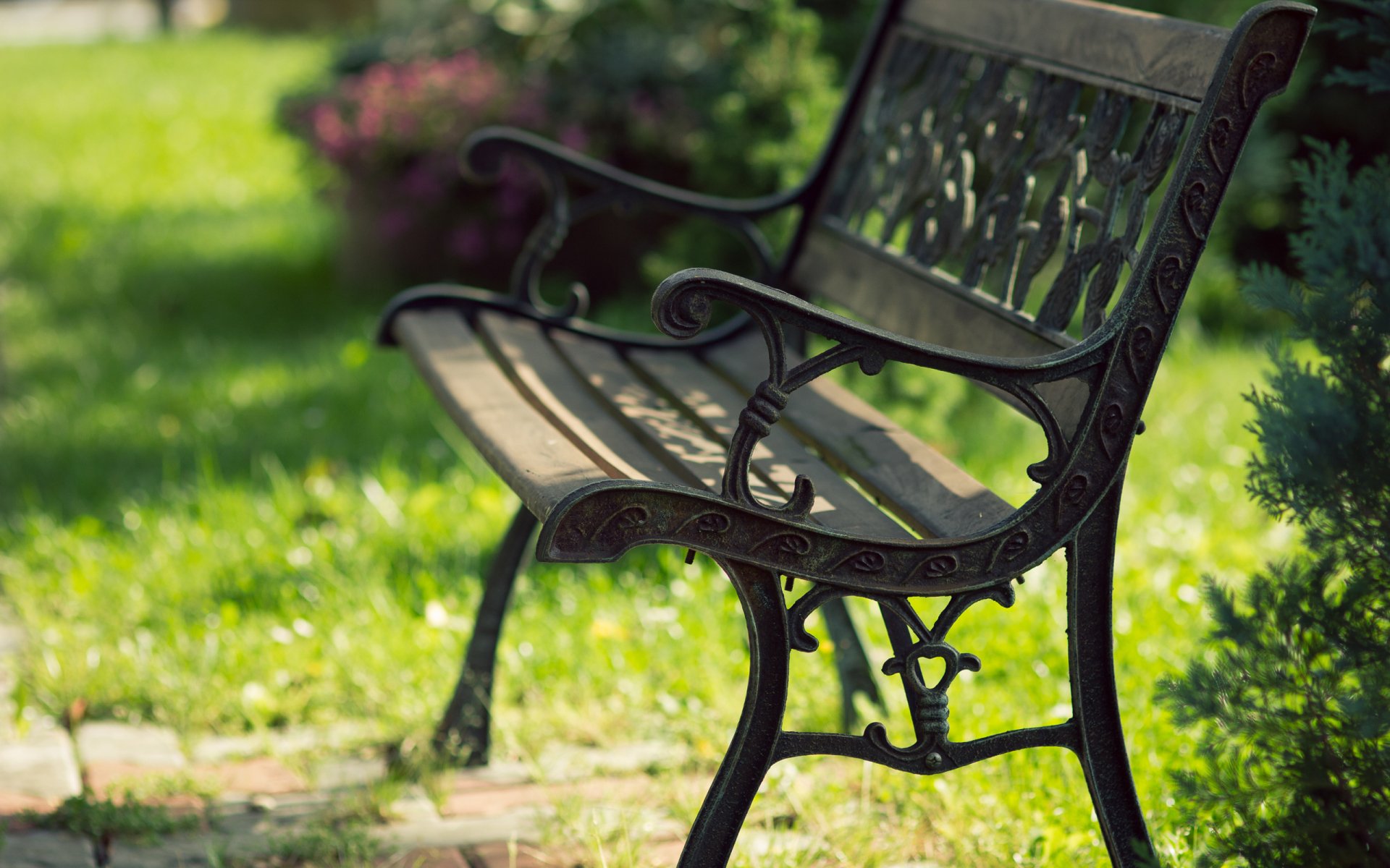 Download Park Man Made Bench HD Wallpaper | 2560x1600 | Wallpaper Abyss