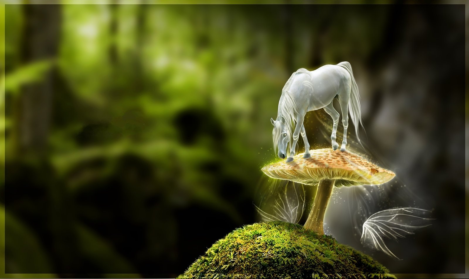 Enchanting Fantasy Horse HD Wallpaper