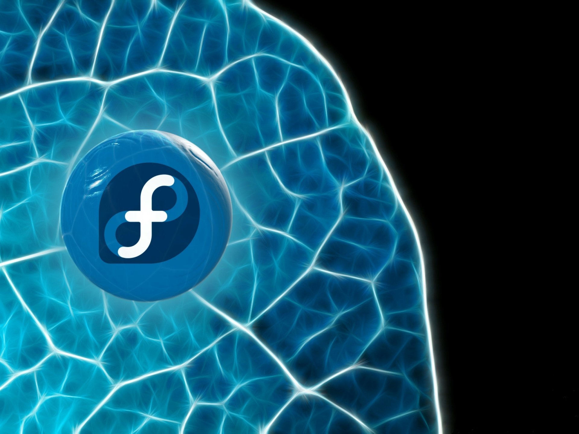 Fedora Linux Tech HD Wallpaper – Dynamic Open Source Innovation