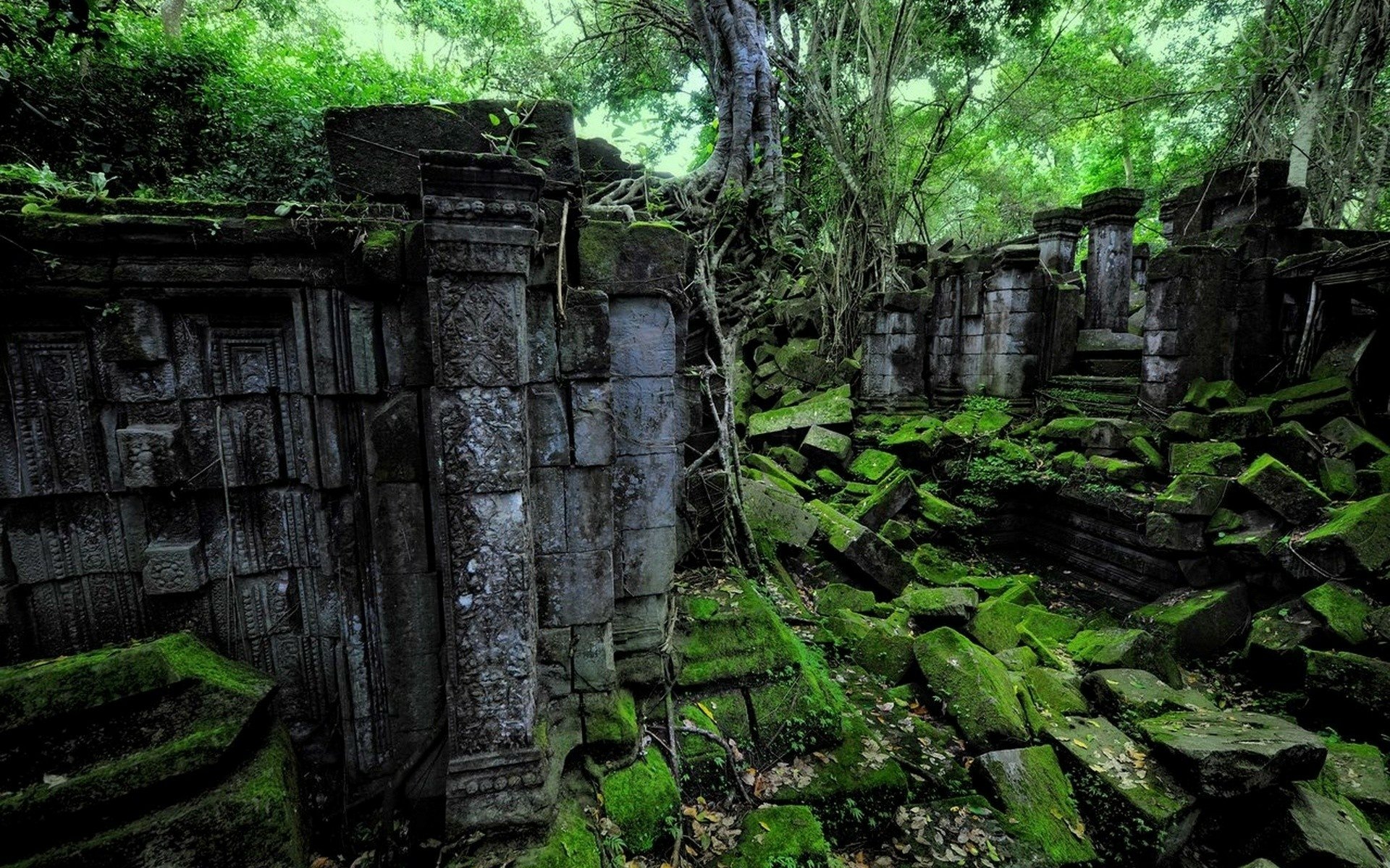 Moss-Covered Jungle Ruins Embraced by Ancient Trees – HD Nature Wallpaper