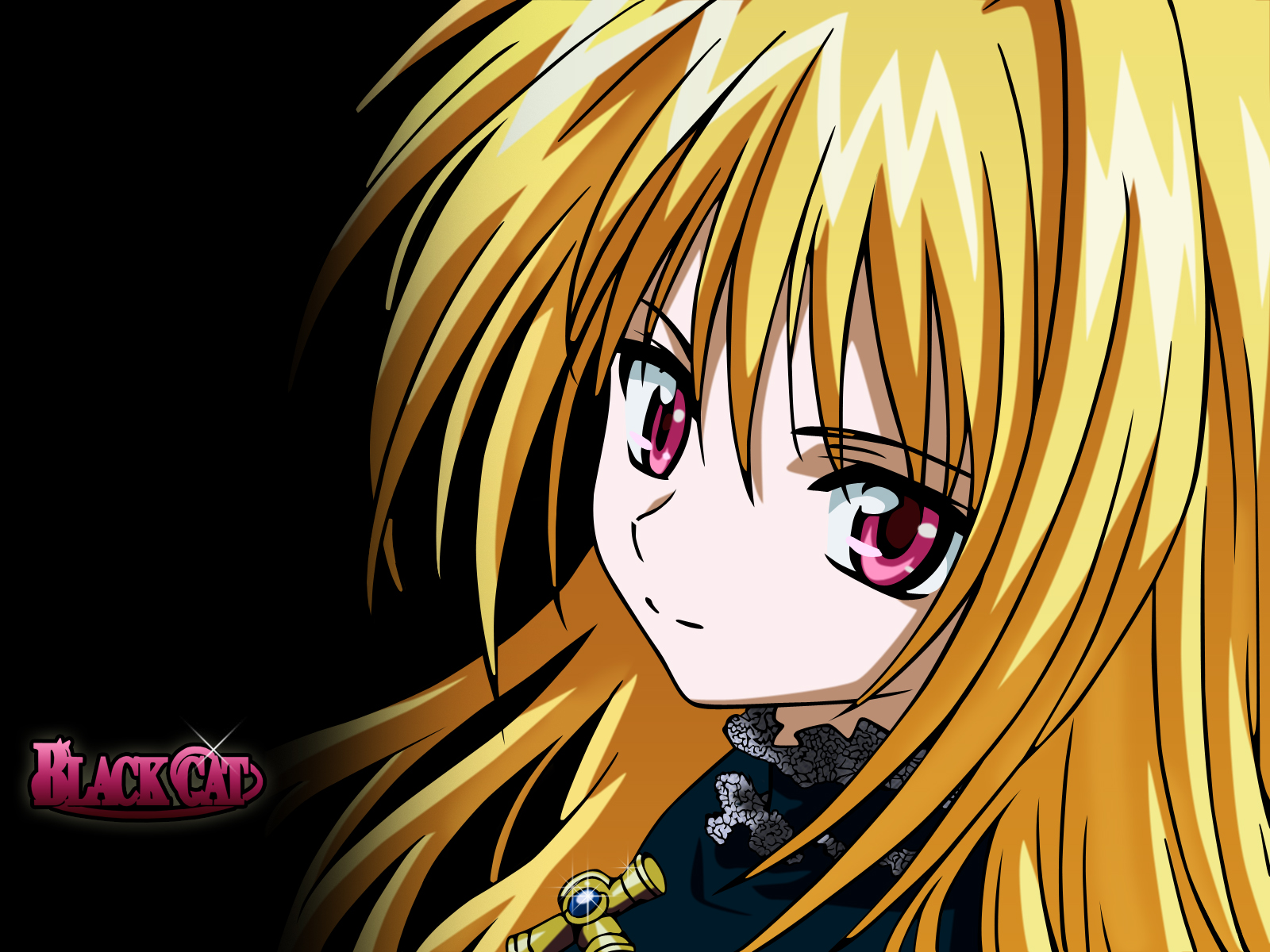 Download Anime Black Cat (Anime) Wallpaper