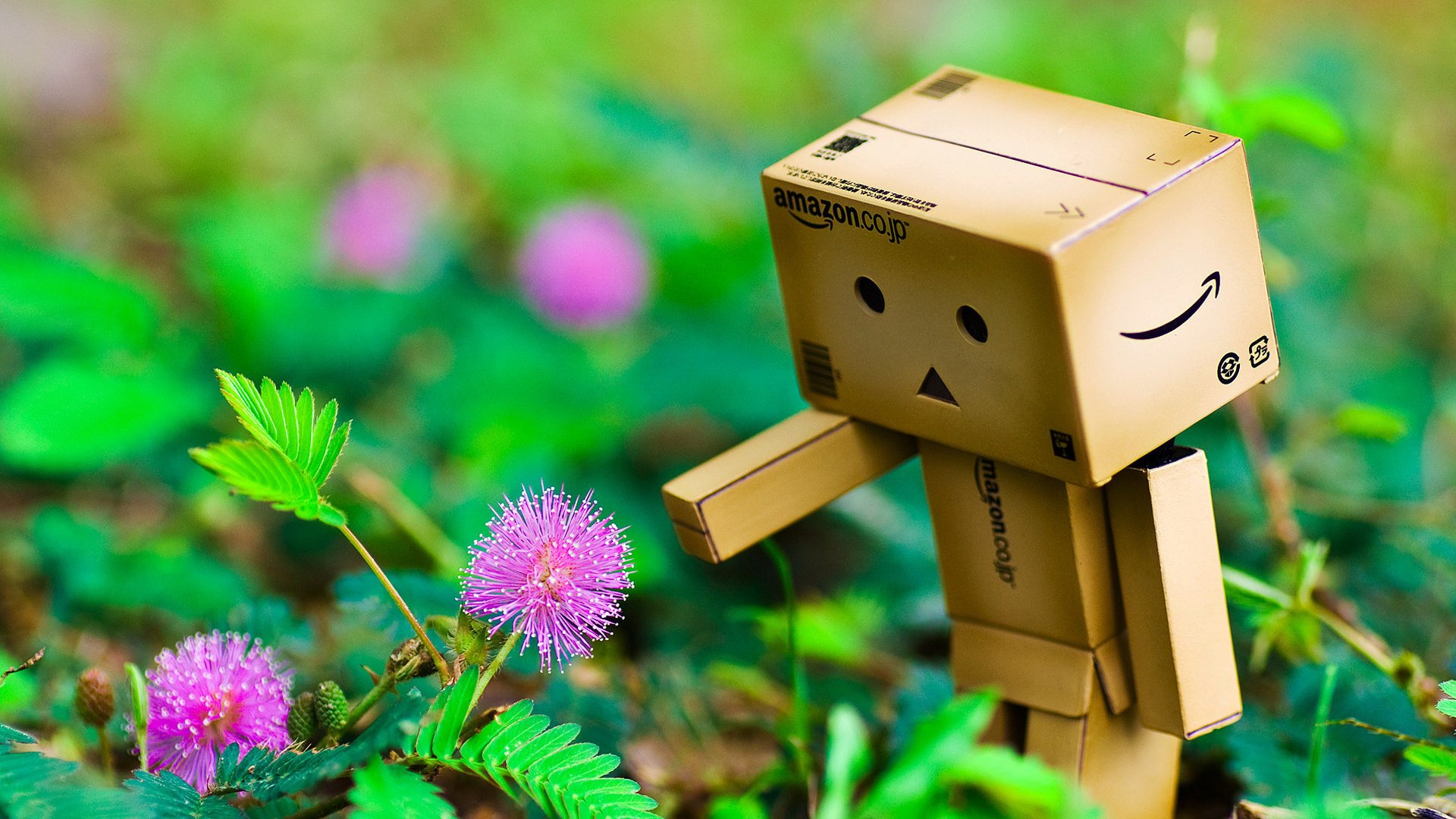 Download Misc Danbo HD Wallpaper