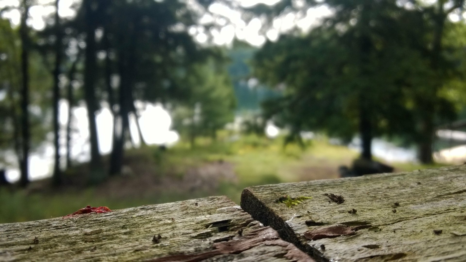 Download Photography Close-up HD Wallpaper