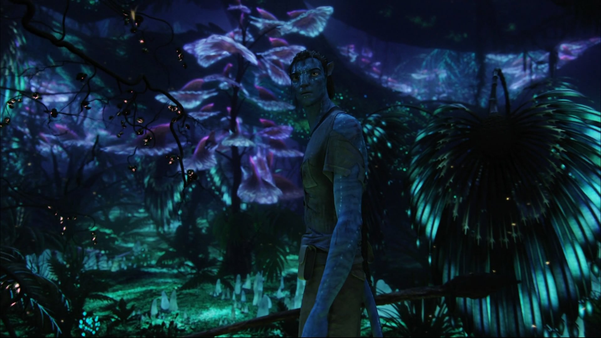 Download Movie Avatar HD Wallpaper