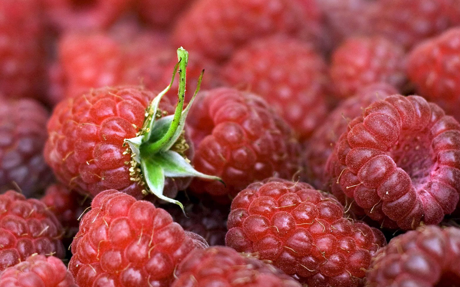 Download Food Raspberry HD Wallpaper