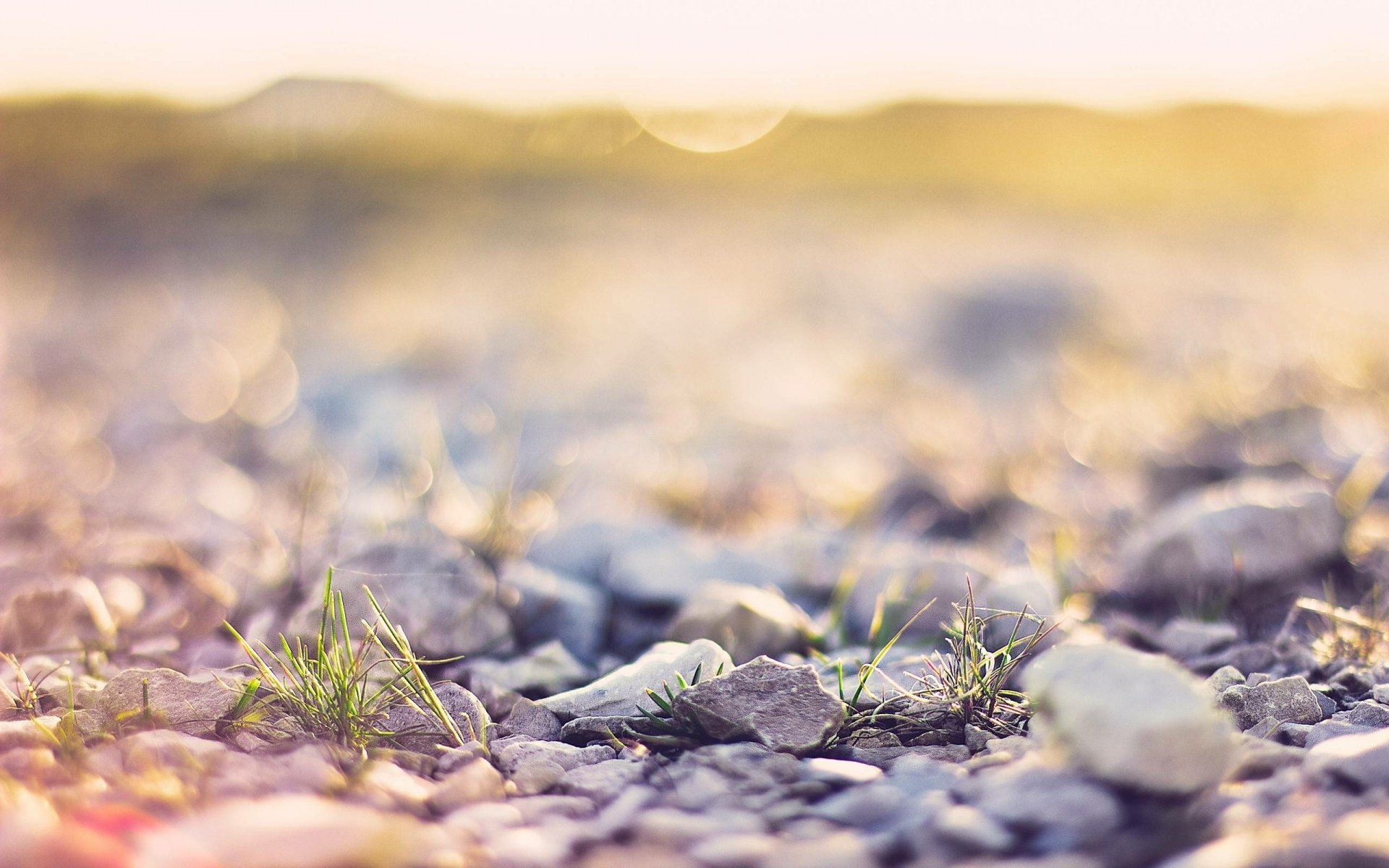 Download Nature Rock HD Wallpaper | 2560x1600 | Wallpaper Abyss