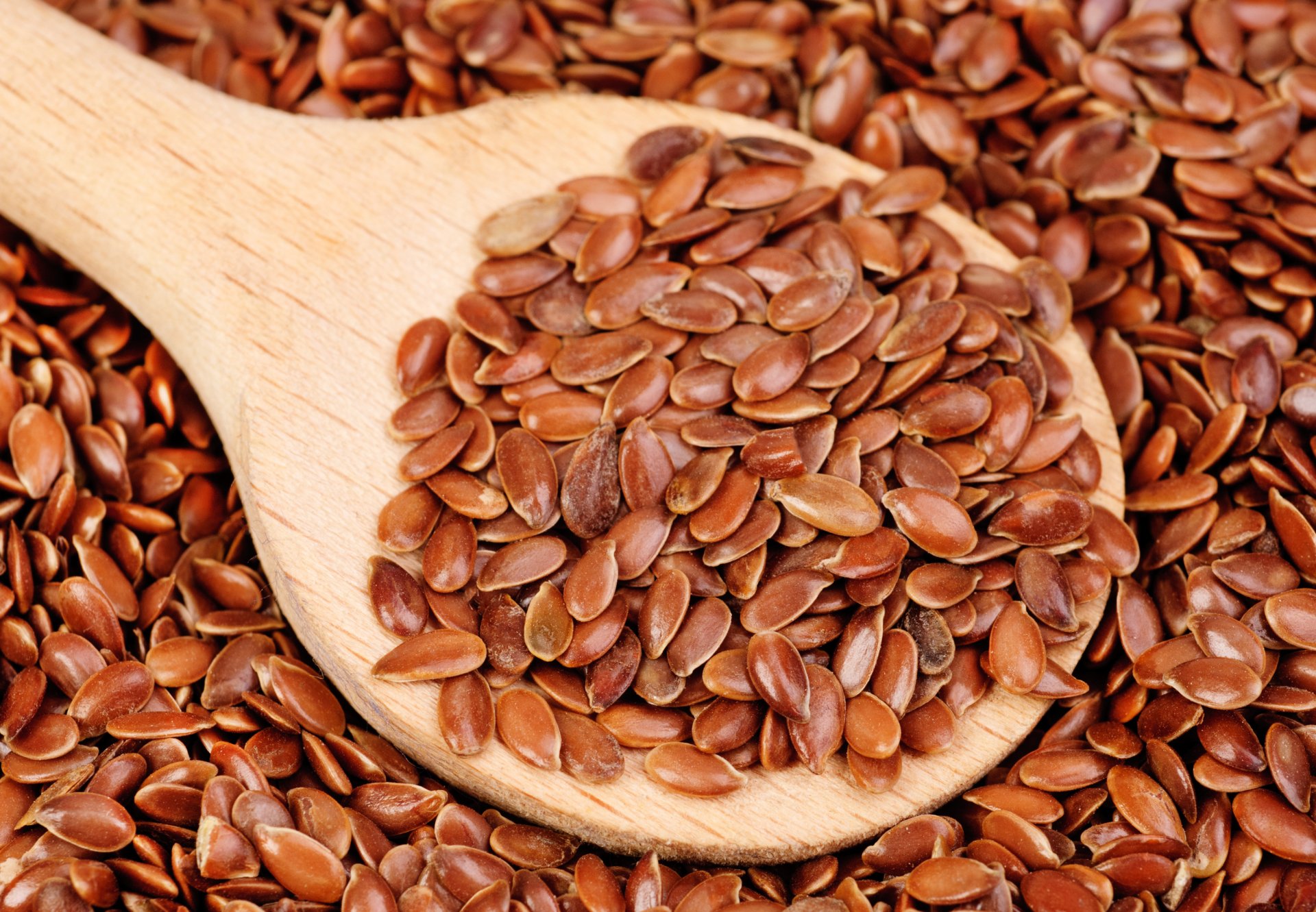 Download Food Flax HD Wallpaper